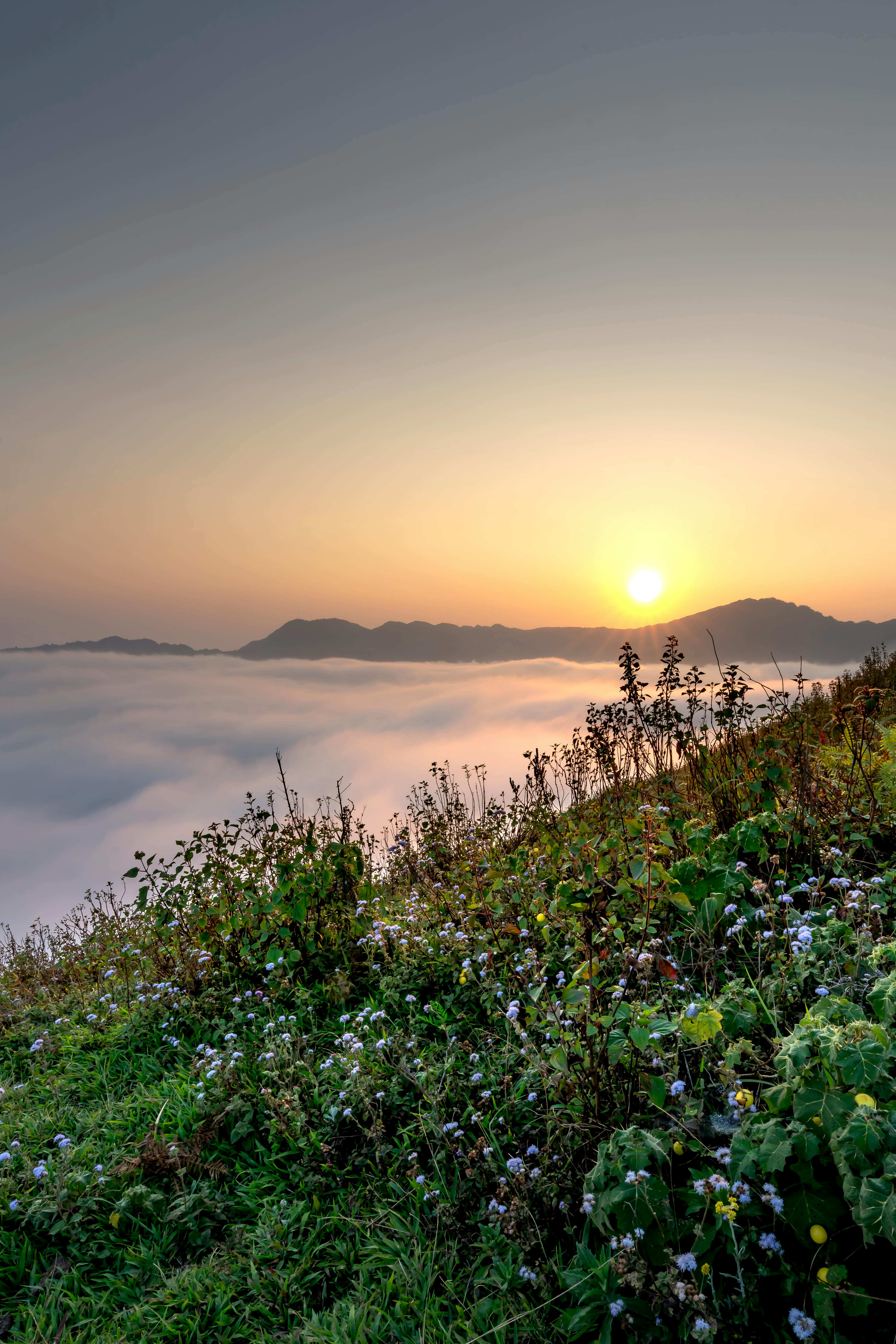 Woman Looking at Sunset · Free Stock Photo