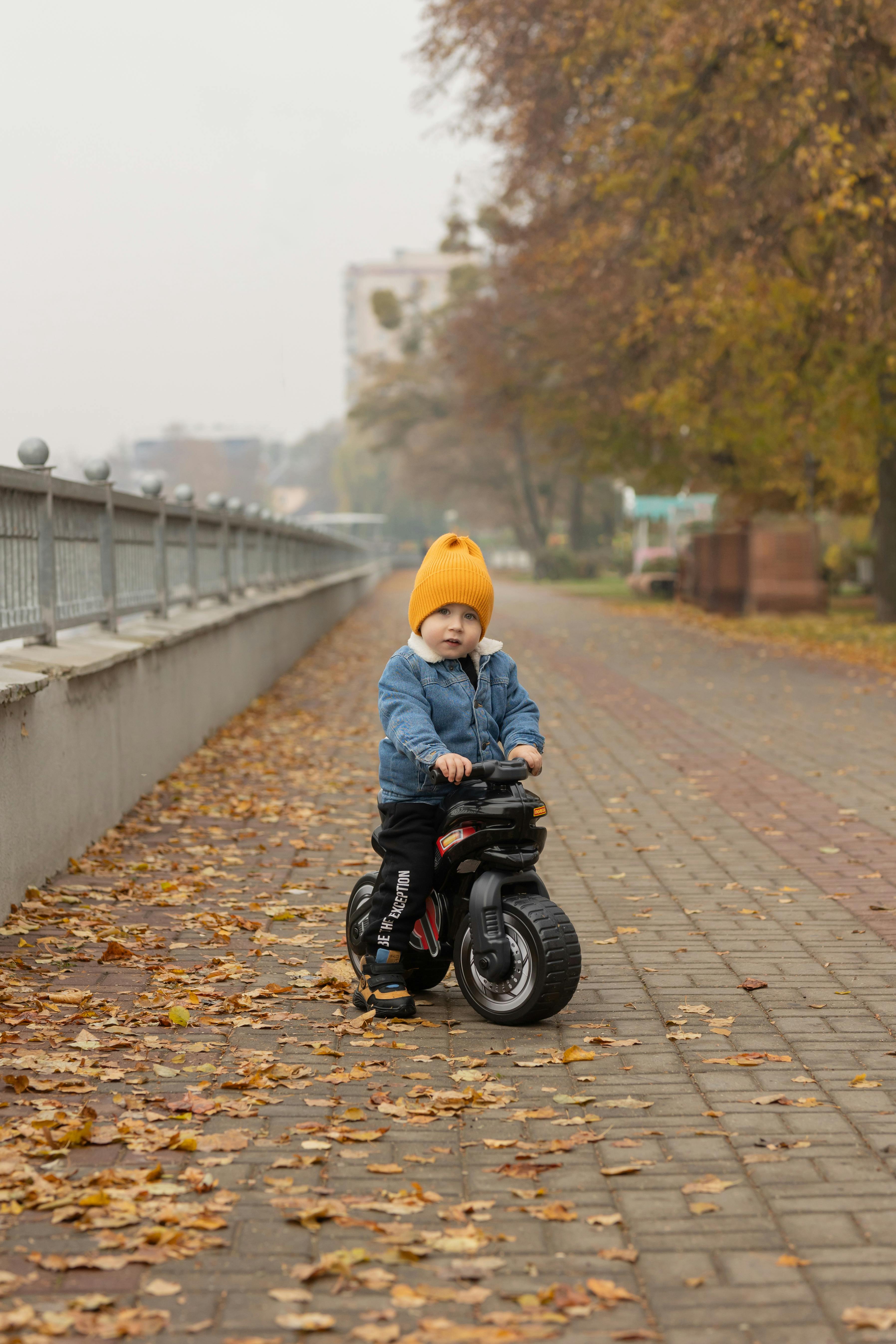 Child Riding Tricycle on Autumn Pathway · Free Stock Photo