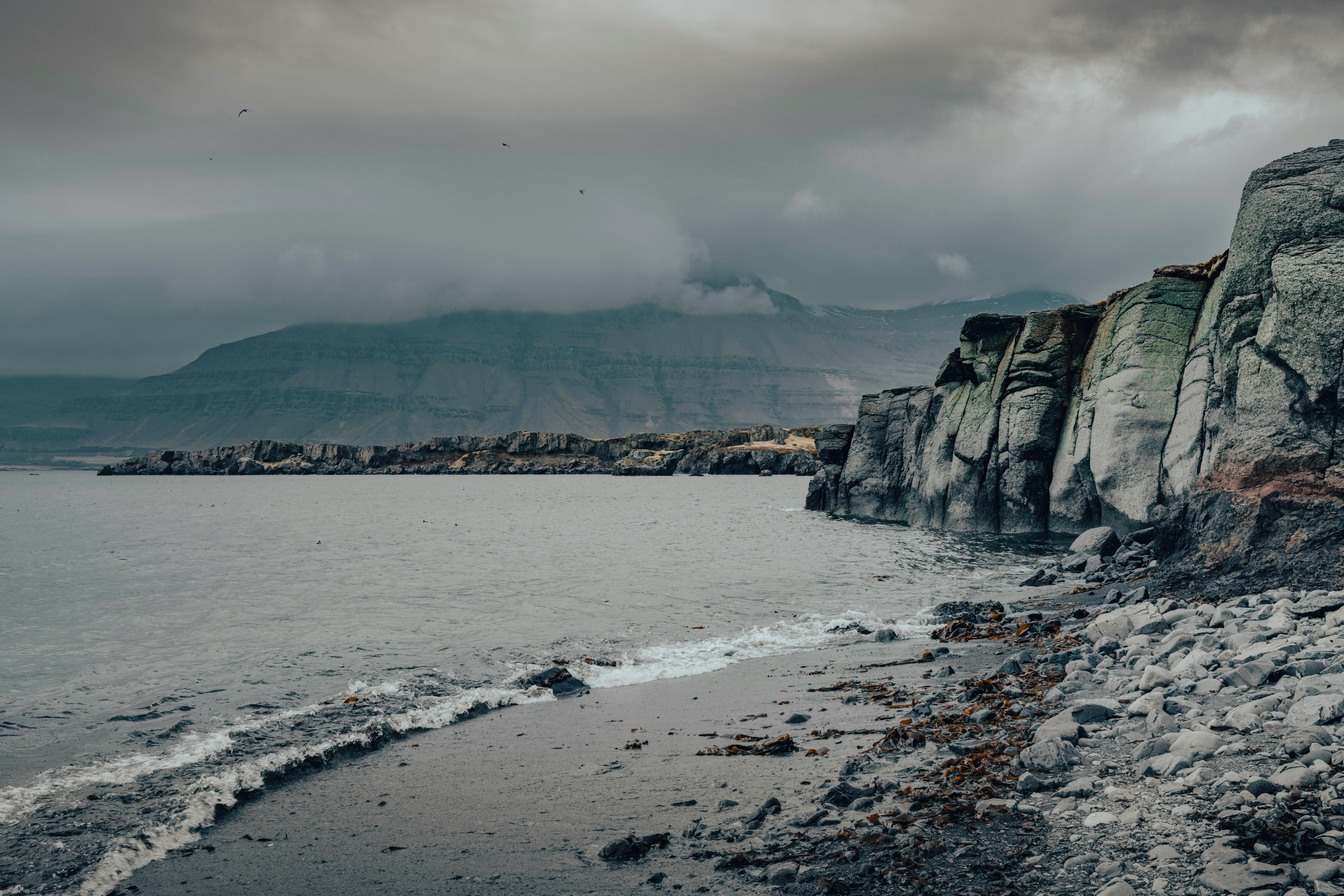 Dramatic Coastal Cliffs Under Moody Icelandic Sky · Free Stock Photo