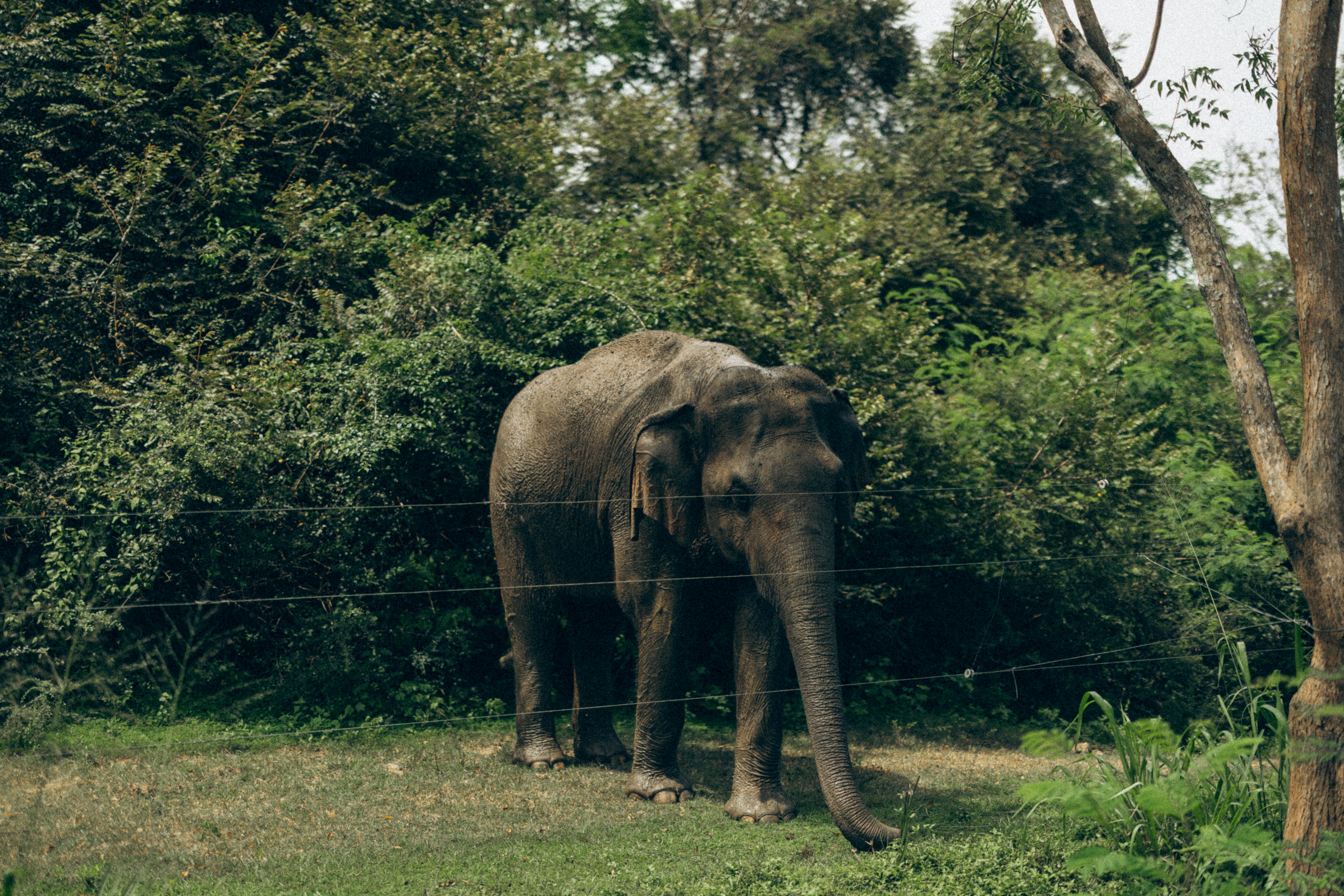 Big Bubs Photos, Download The BEST Free Big Bubs Stock Photos & HD Images