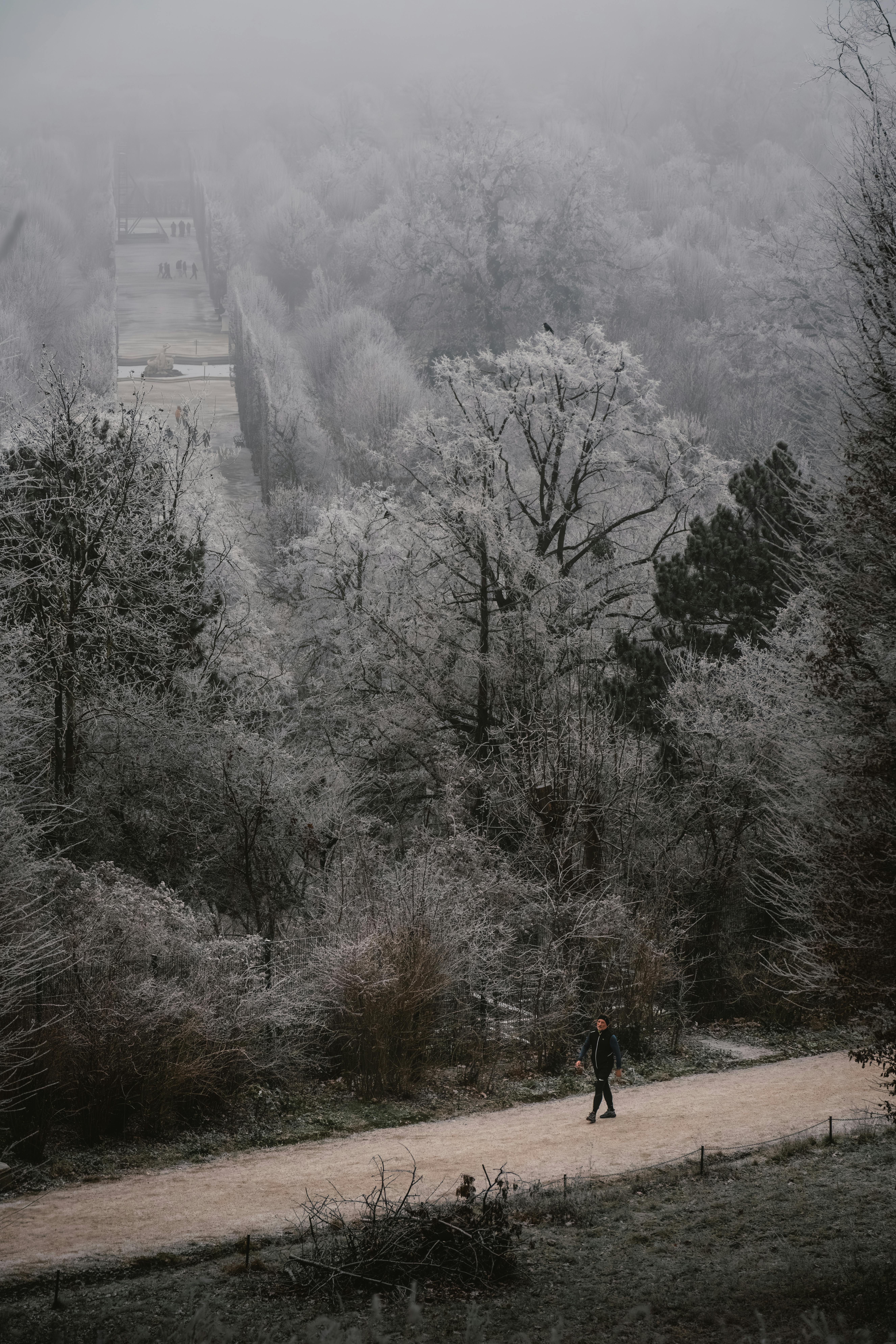 Environment Pictures Photos, Download The BEST Free Environment ...