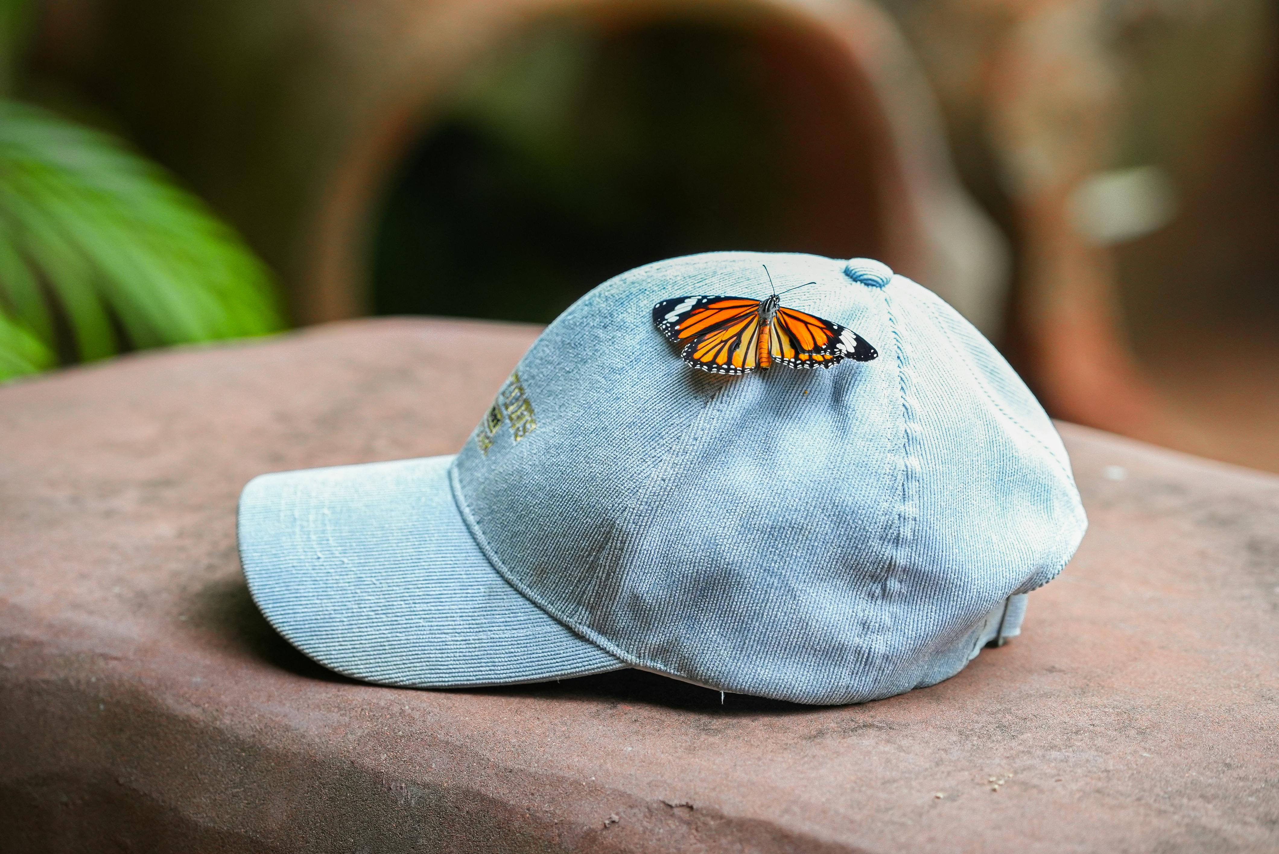 Frontend Background Photos, Download The BEST Free Frontend Background ...