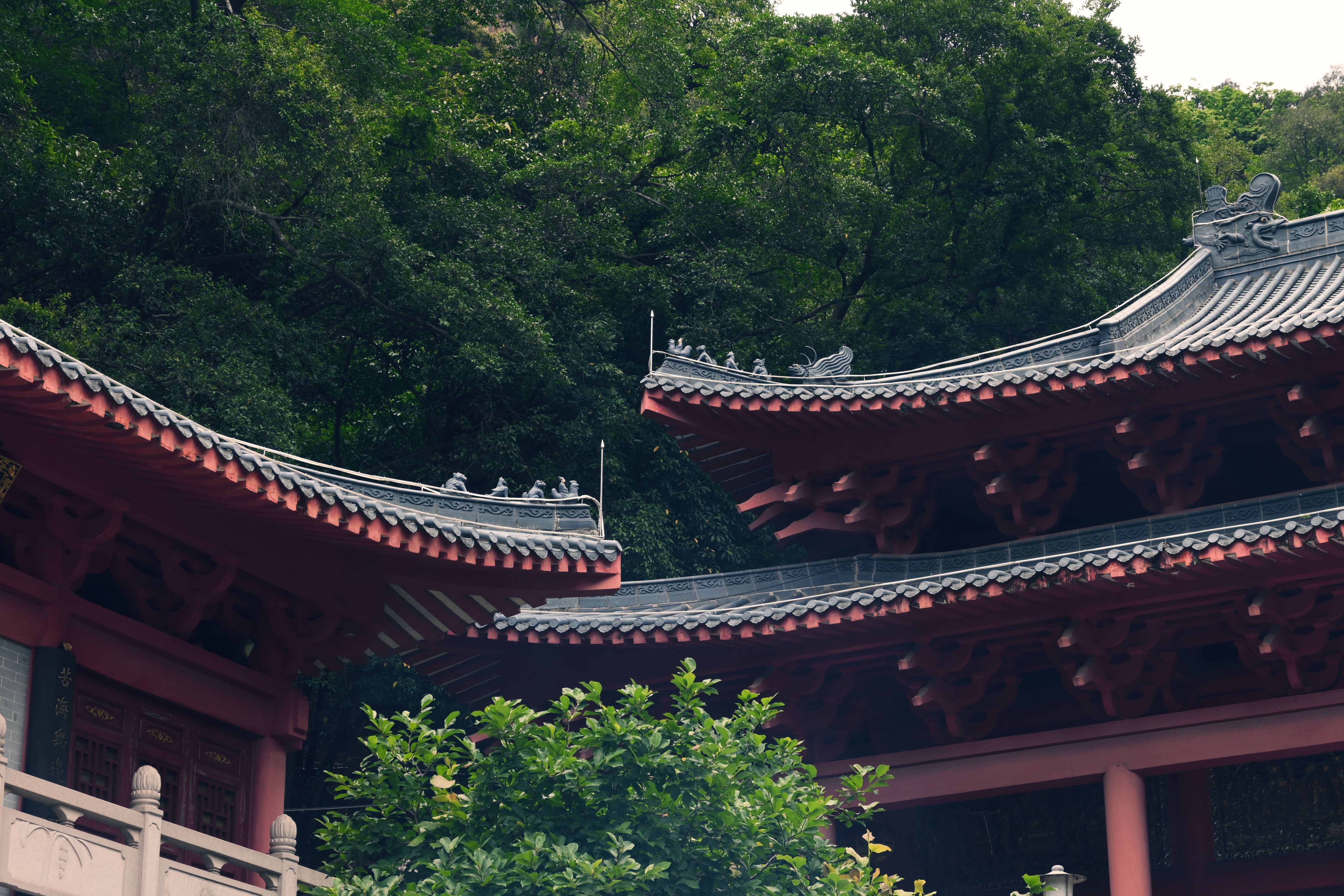 Gleboka Pagoda Photos, Download The BEST Free Gleboka Pagoda Stock ...