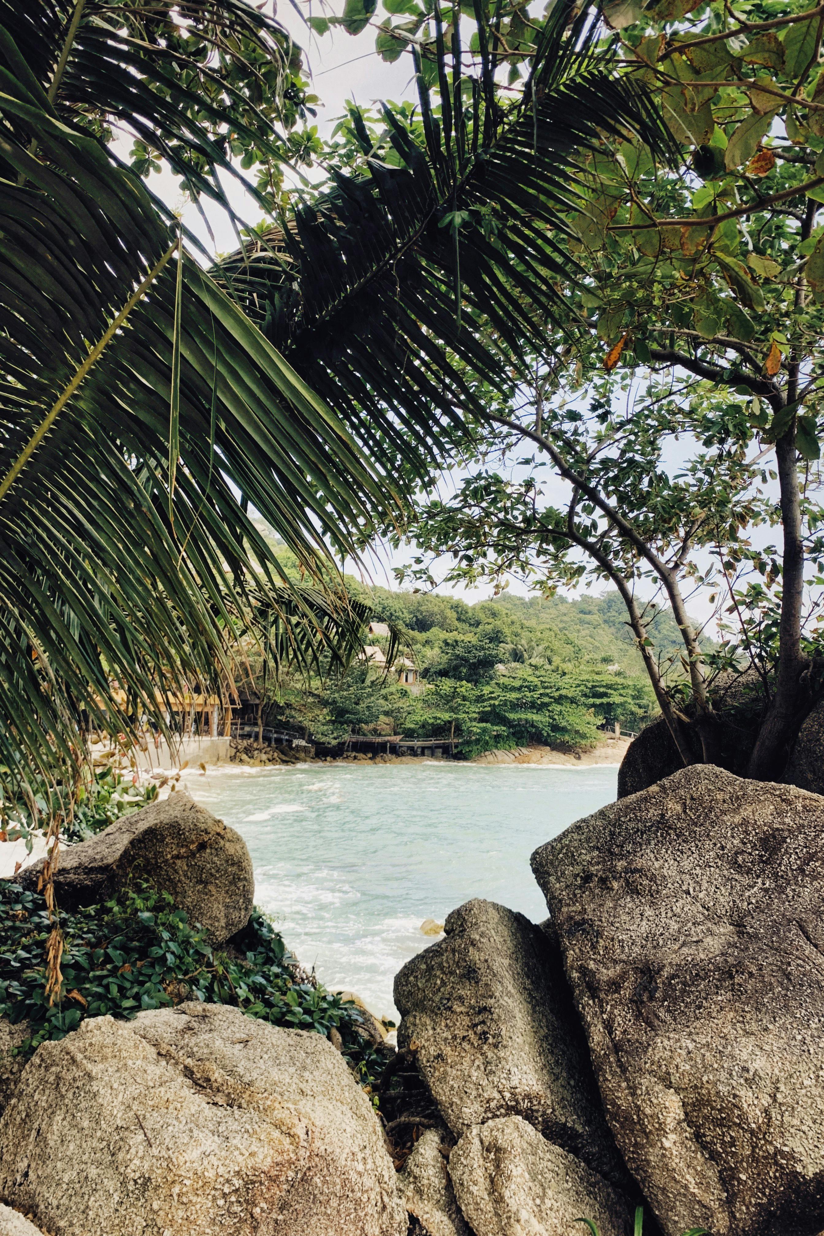 Virat Kohli Photos, Download The BEST Free Virat Kohli Stock Photos ...