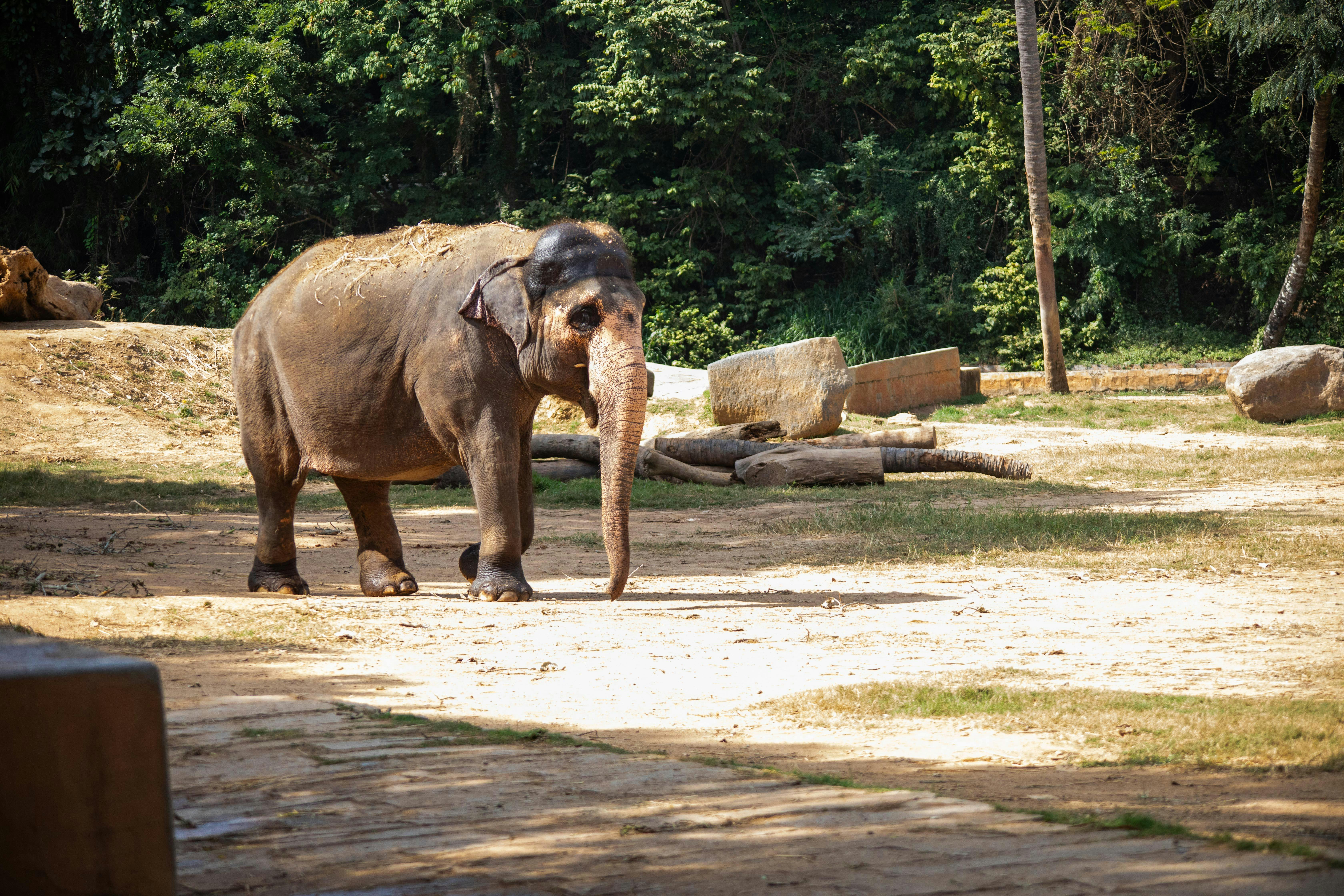 Big Bubs Photos, Download The BEST Free Big Bubs Stock Photos & HD Images