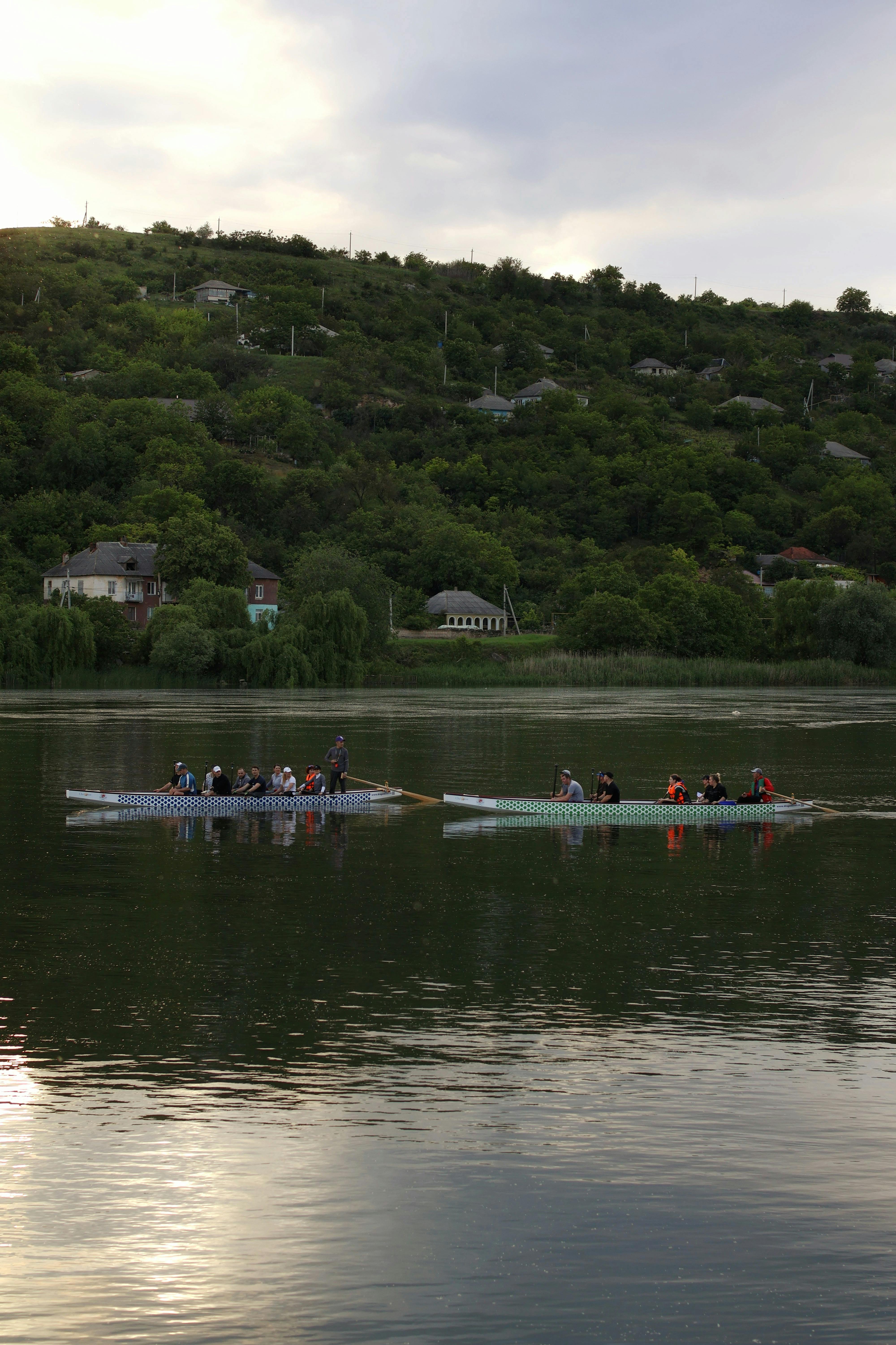 Team Rowing on Serene Lake at Sunset · Free Stock Photo