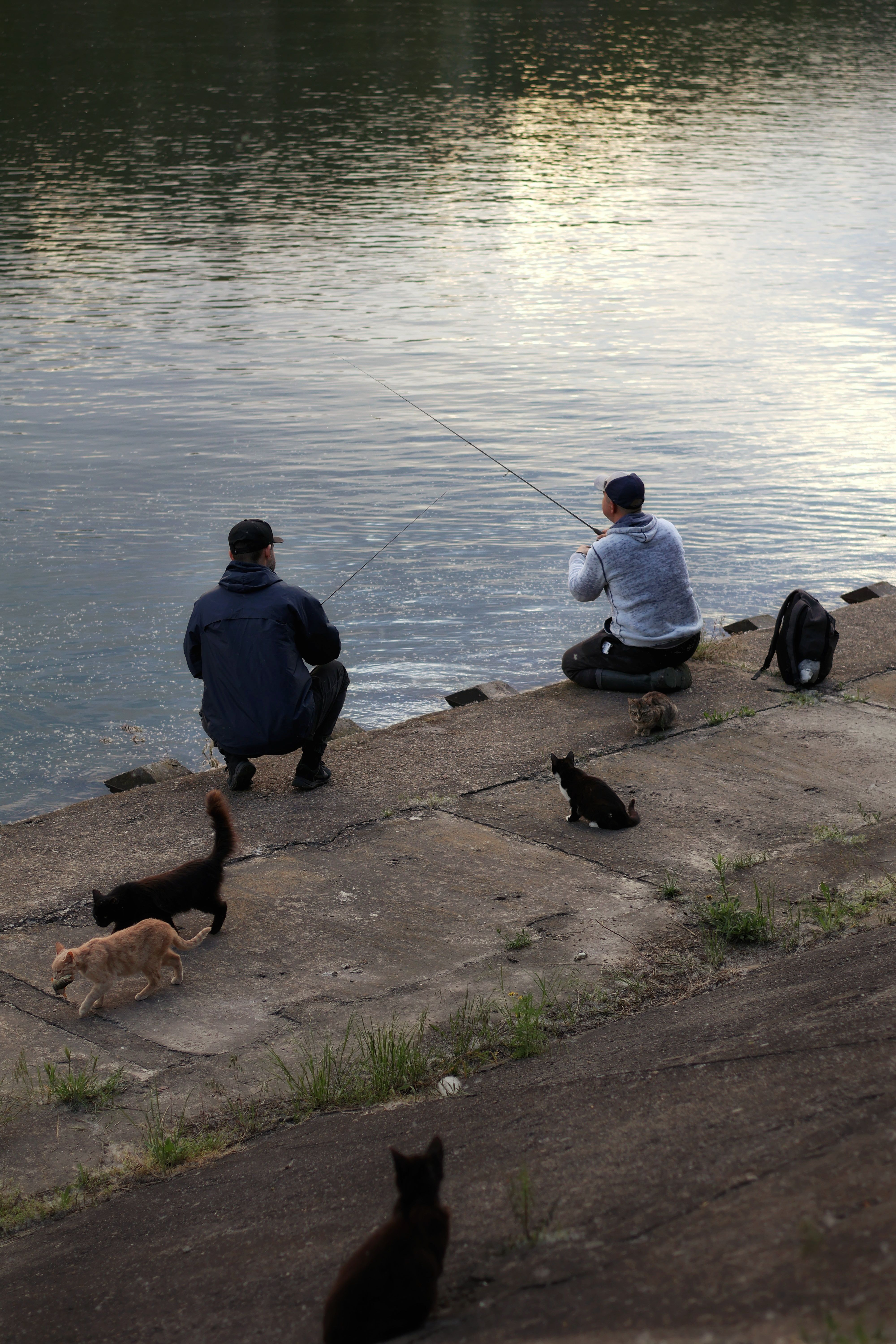 Two men fishing by a tranquil riverside · Free Stock Photo
