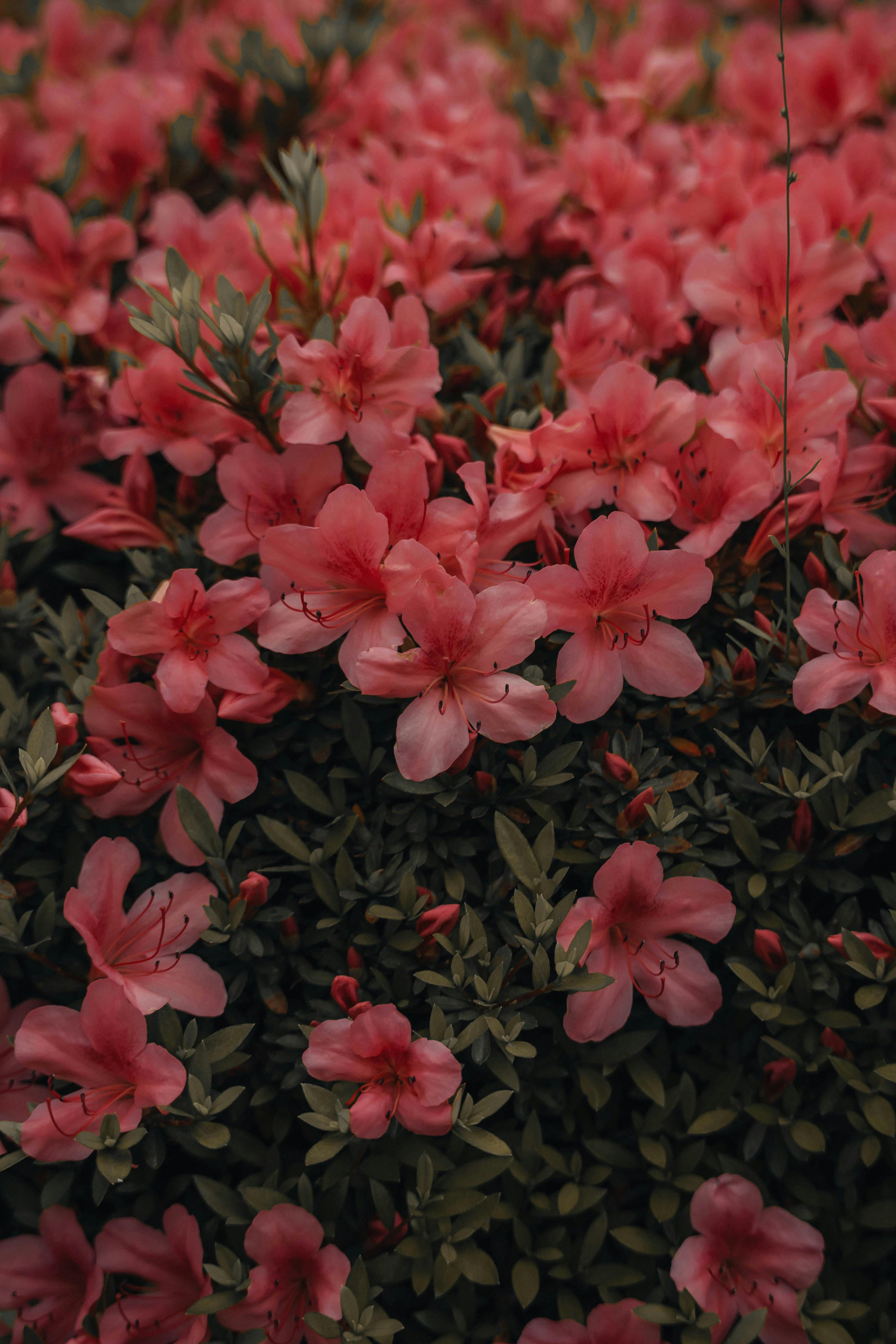 Les 1.000+ millors fotos sobre Excelに表示される「参照が正しくありません」とは？エラーメッセージが出た時の ...