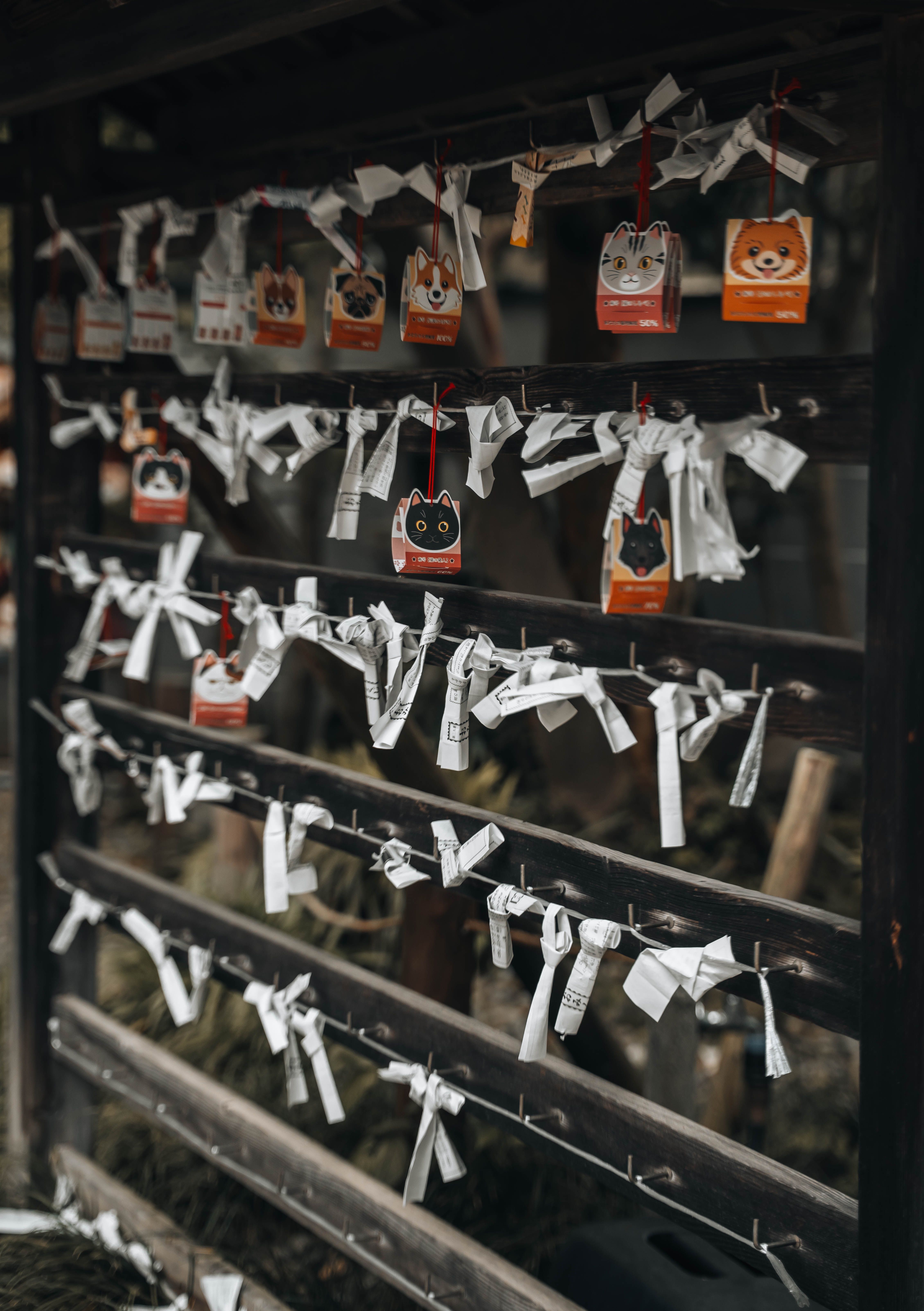 Traditional Omikuji Fortune Telling at Japanese Shrine · Free Stock Photo