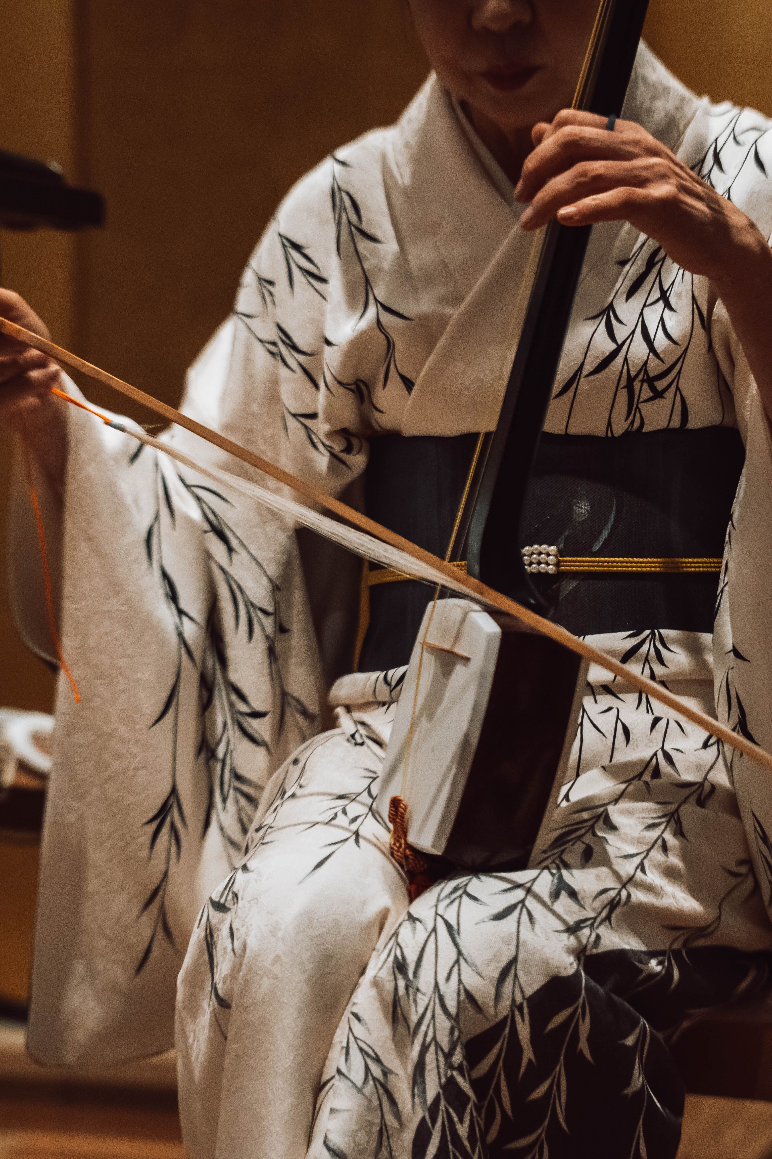 Japanese Concert Photos, Download The BEST Free Japanese Concert Stock ...