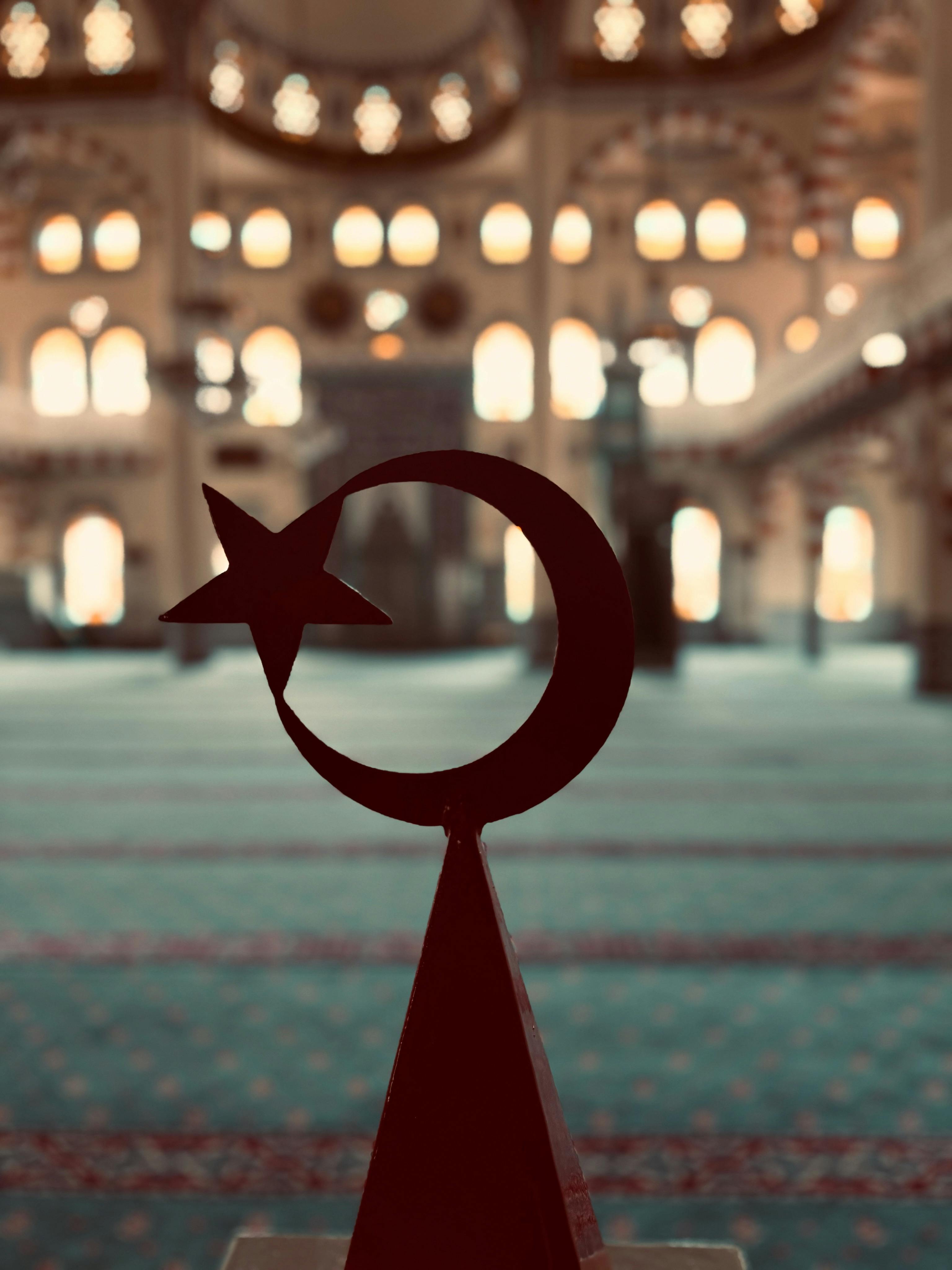 Background Without Blur Photos, Download The BEST Free Background ...