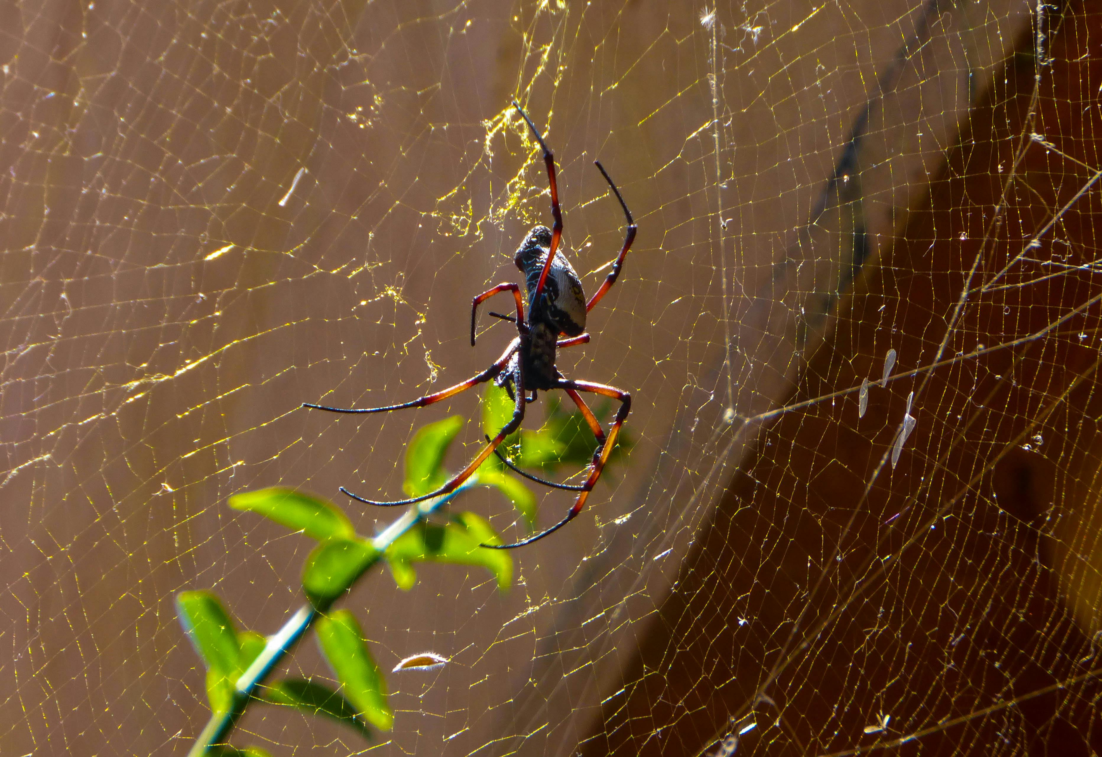 Light Background For Powerpoint Photos, Download The BEST Free Light ...