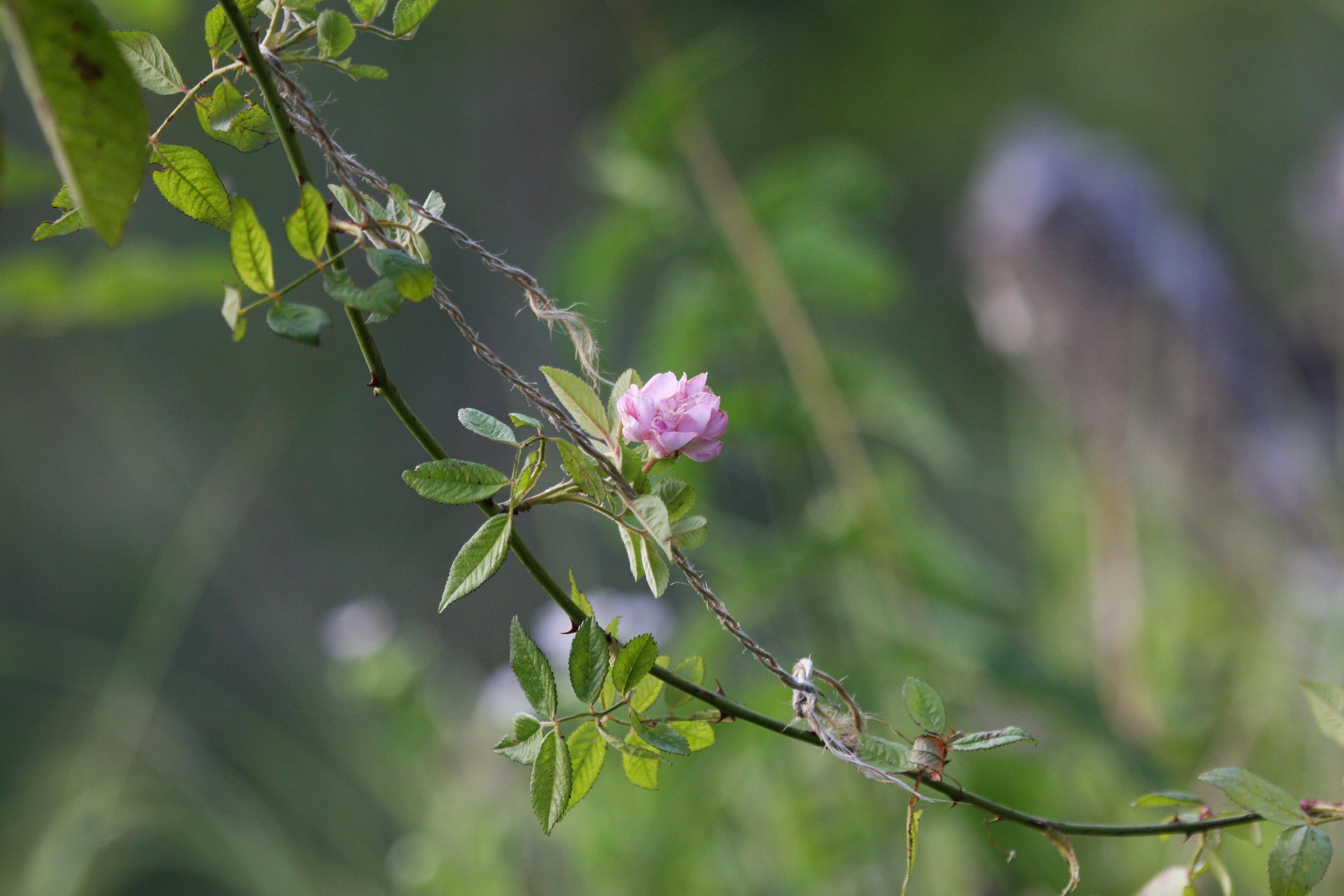 Coding 4k Wallpapers Photos, Download The BEST Free Coding 4k ...