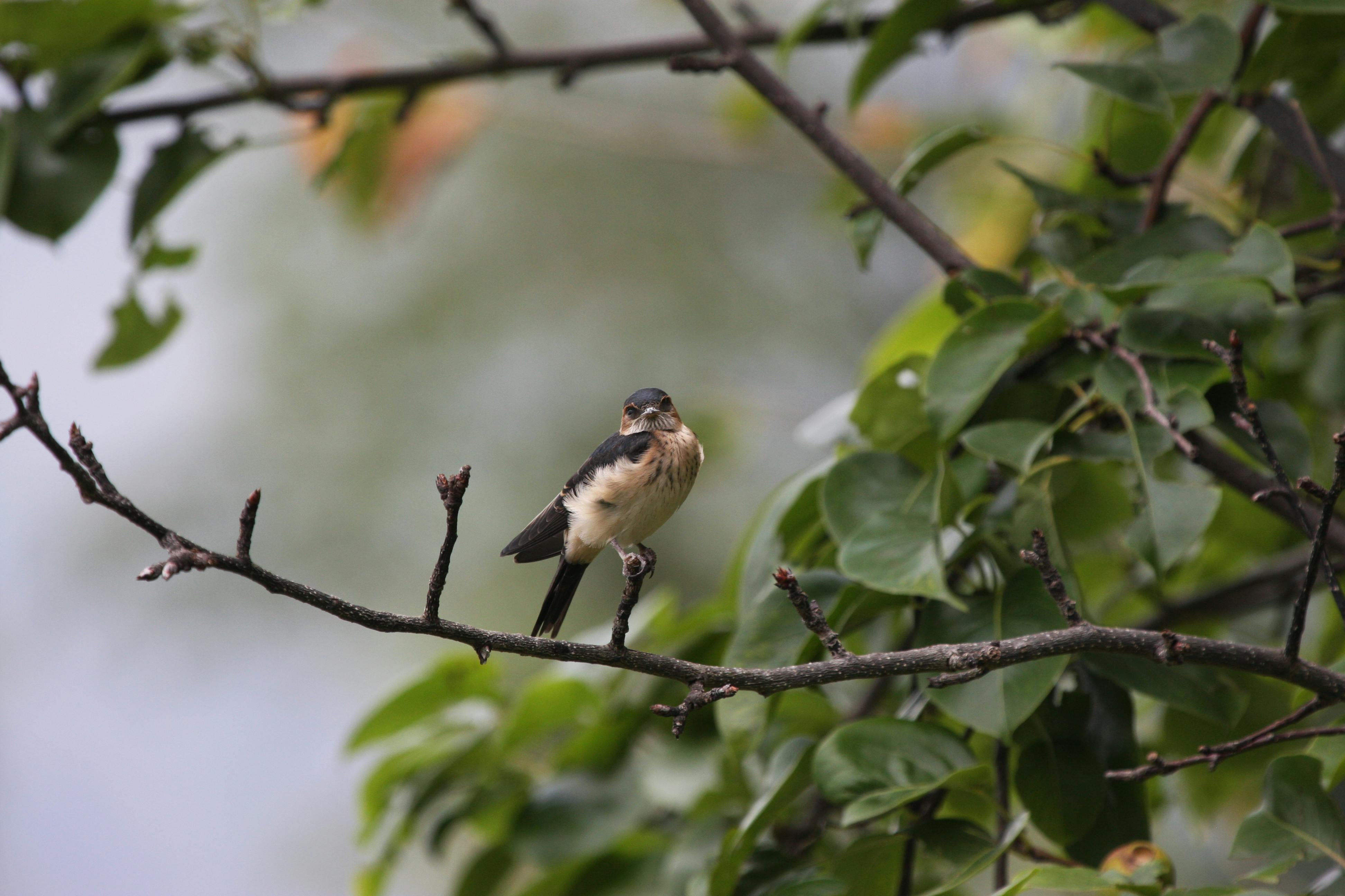 Techtok Wallpaper Photos, Download The BEST Free Techtok Wallpaper ...