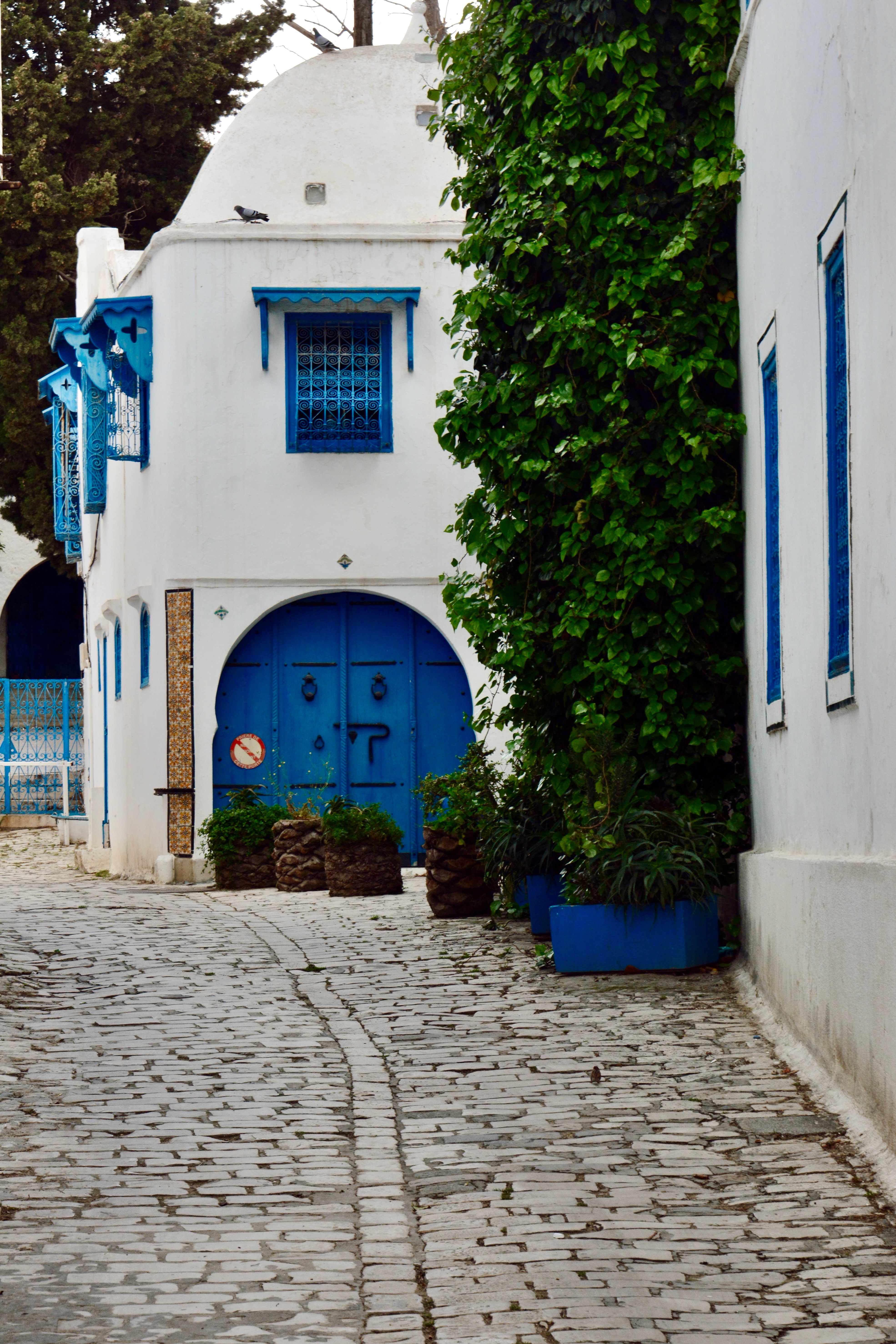 Sidi Background Photos, Download The BEST Free Sidi Background Stock ...