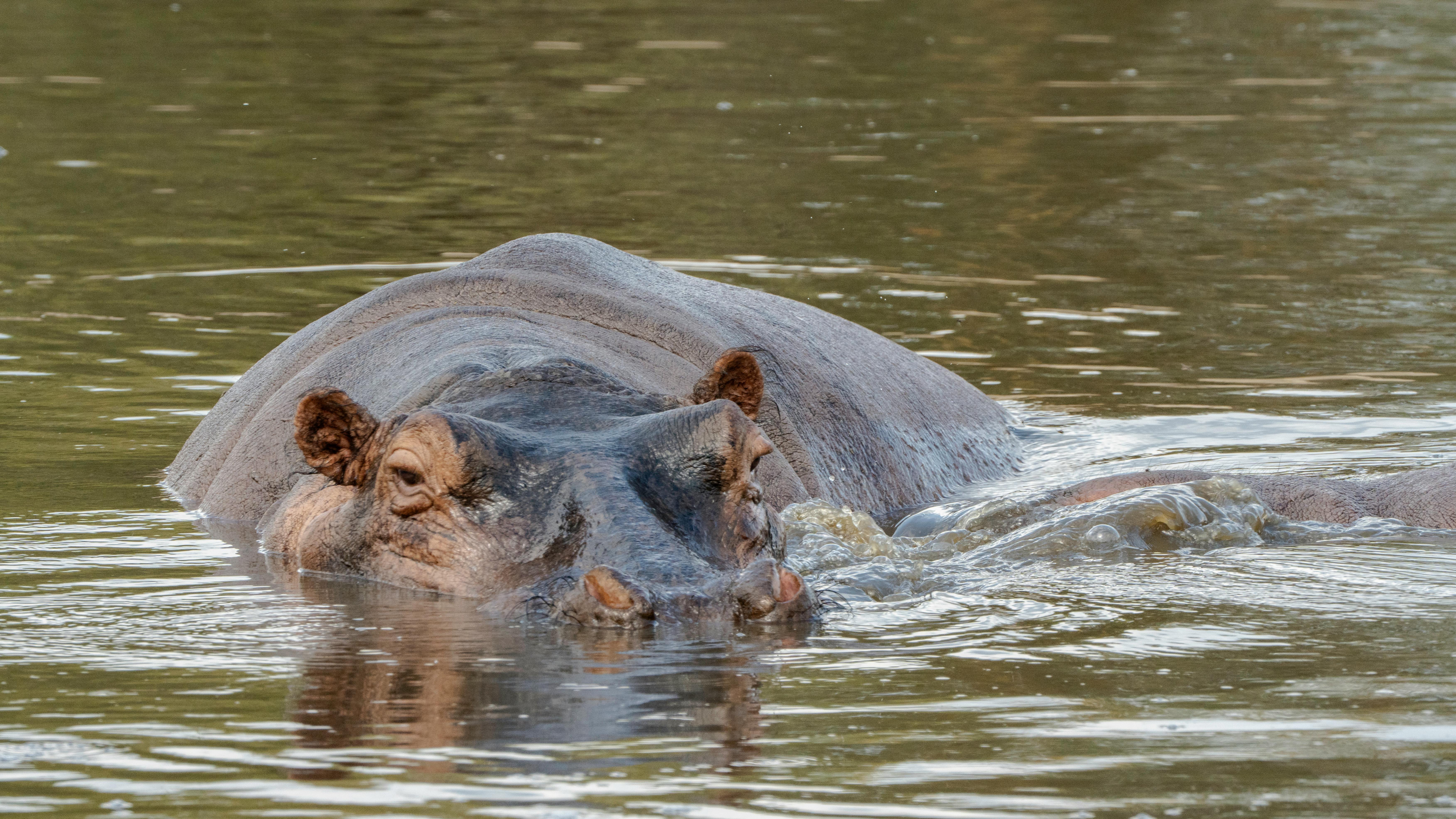 Ilm Photos, Download The BEST Free Ilm Stock Photos & HD Images