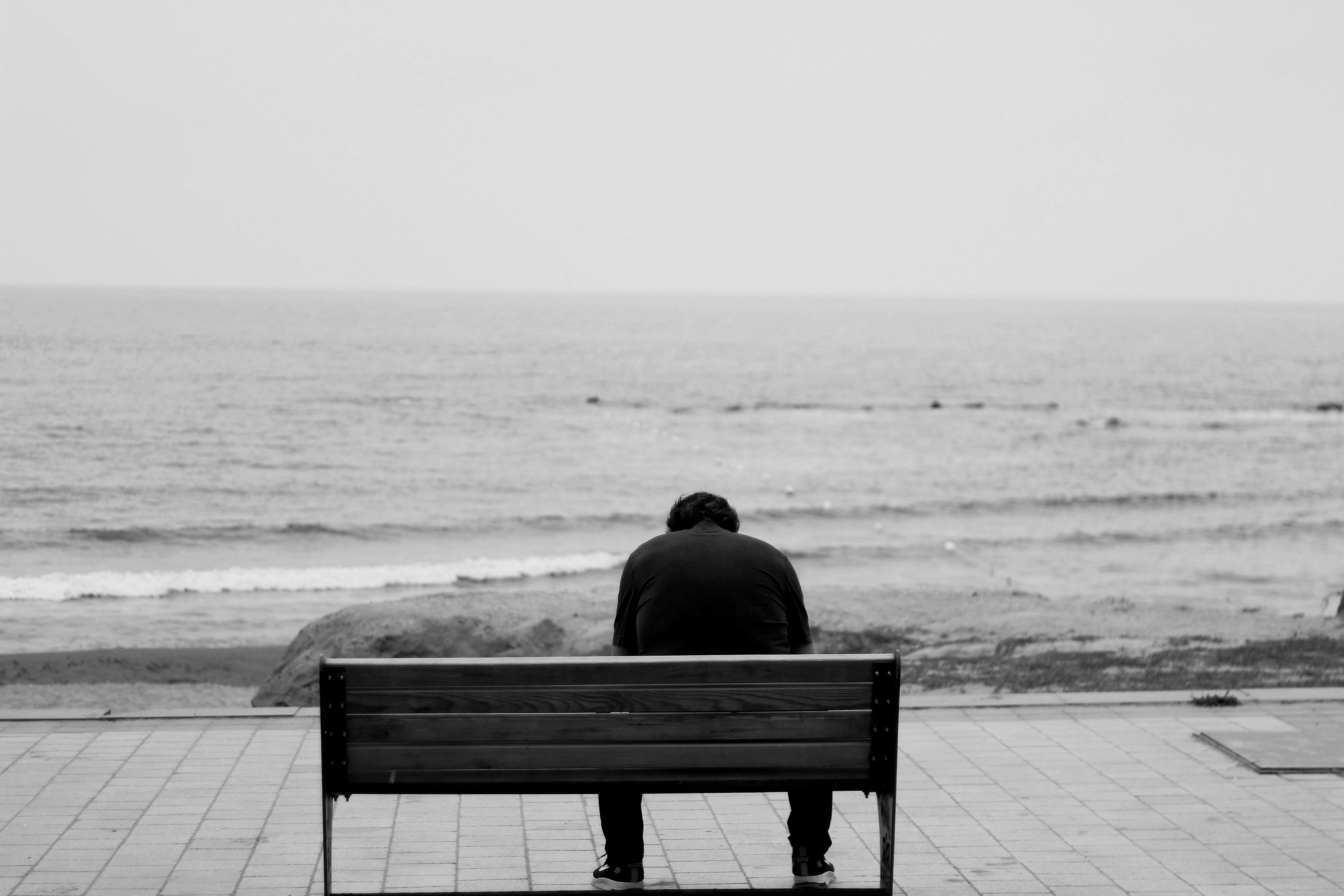 Back View of a Man Sitting on the Bench · Free Stock Photo