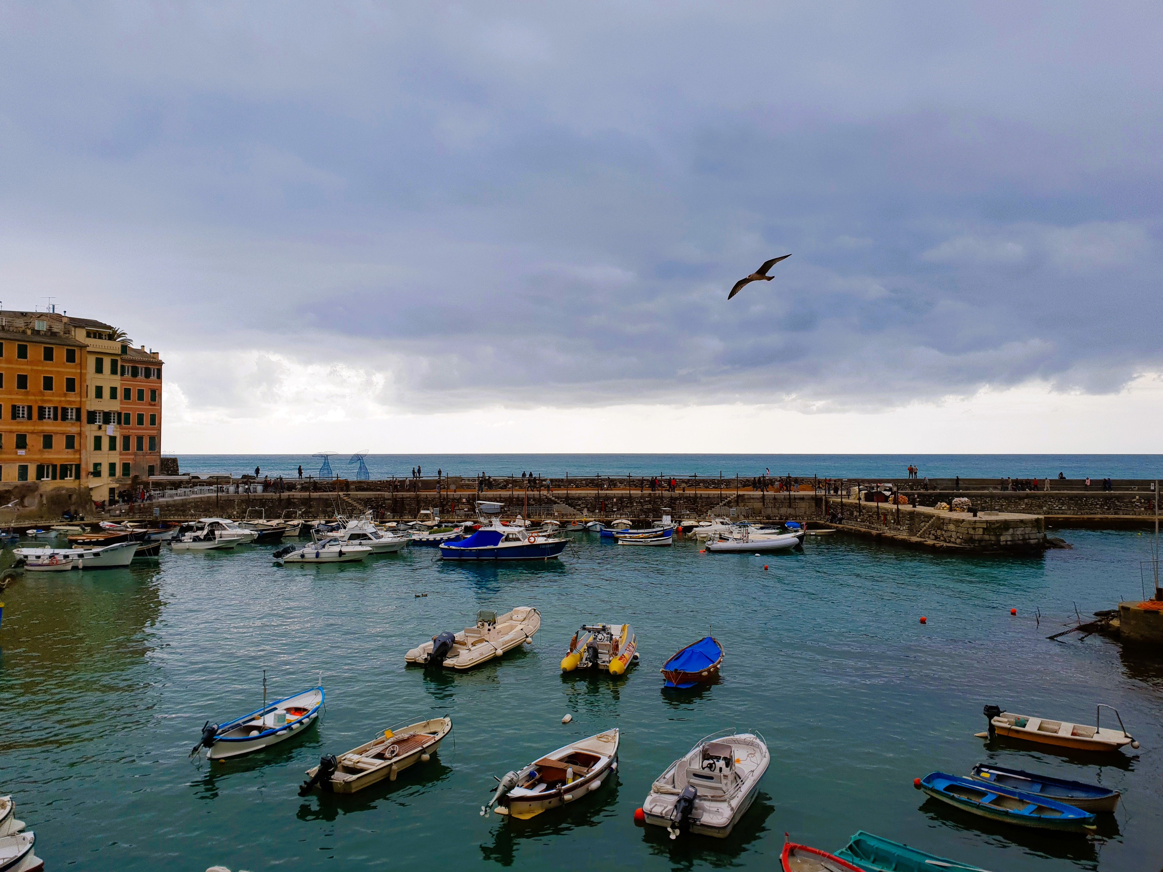 Vista Panorámica Del Puerto Con Barcos Y Gaviotas · Foto de stock gratuita