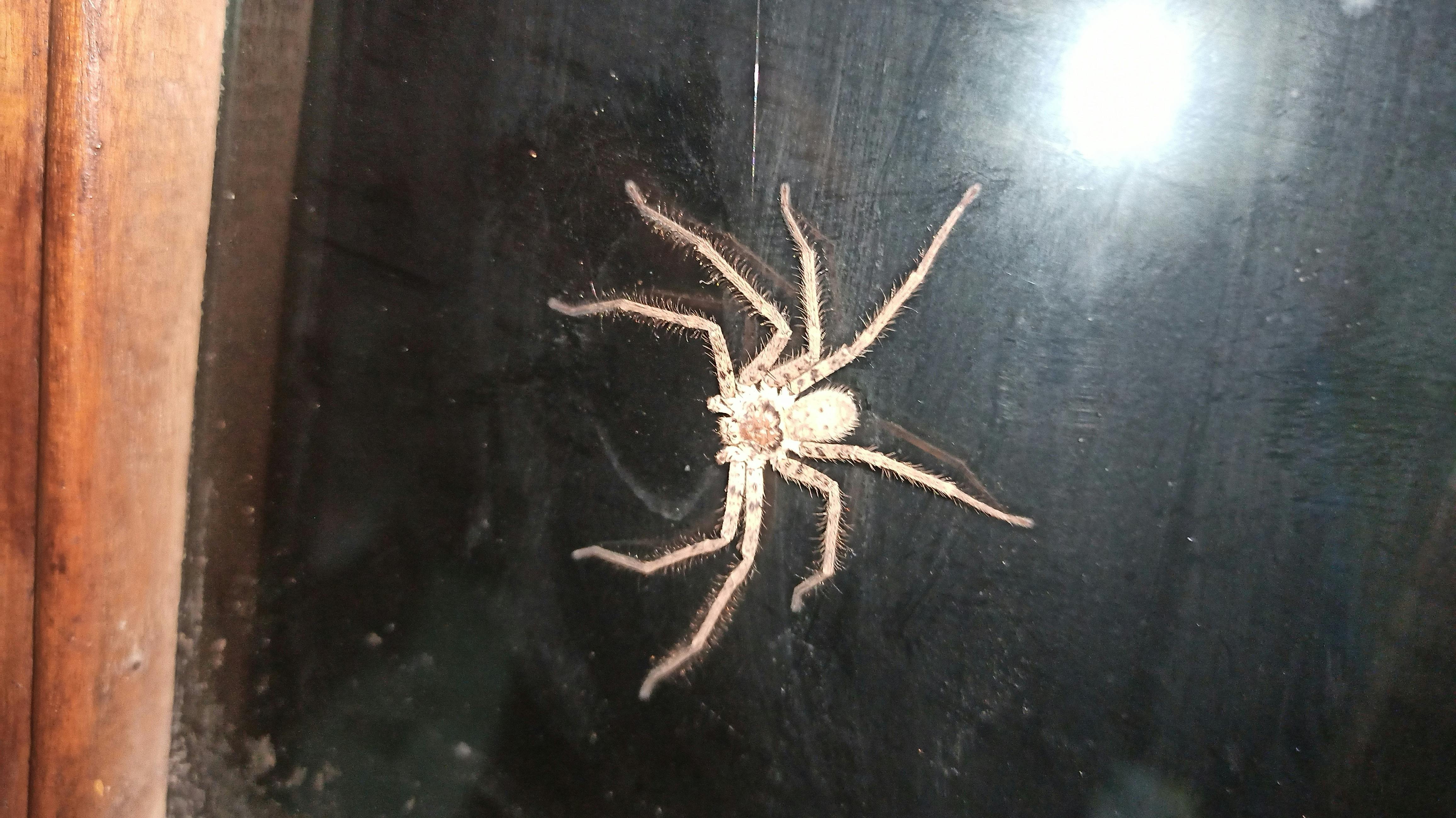 Neeraj Patel – Fotografia