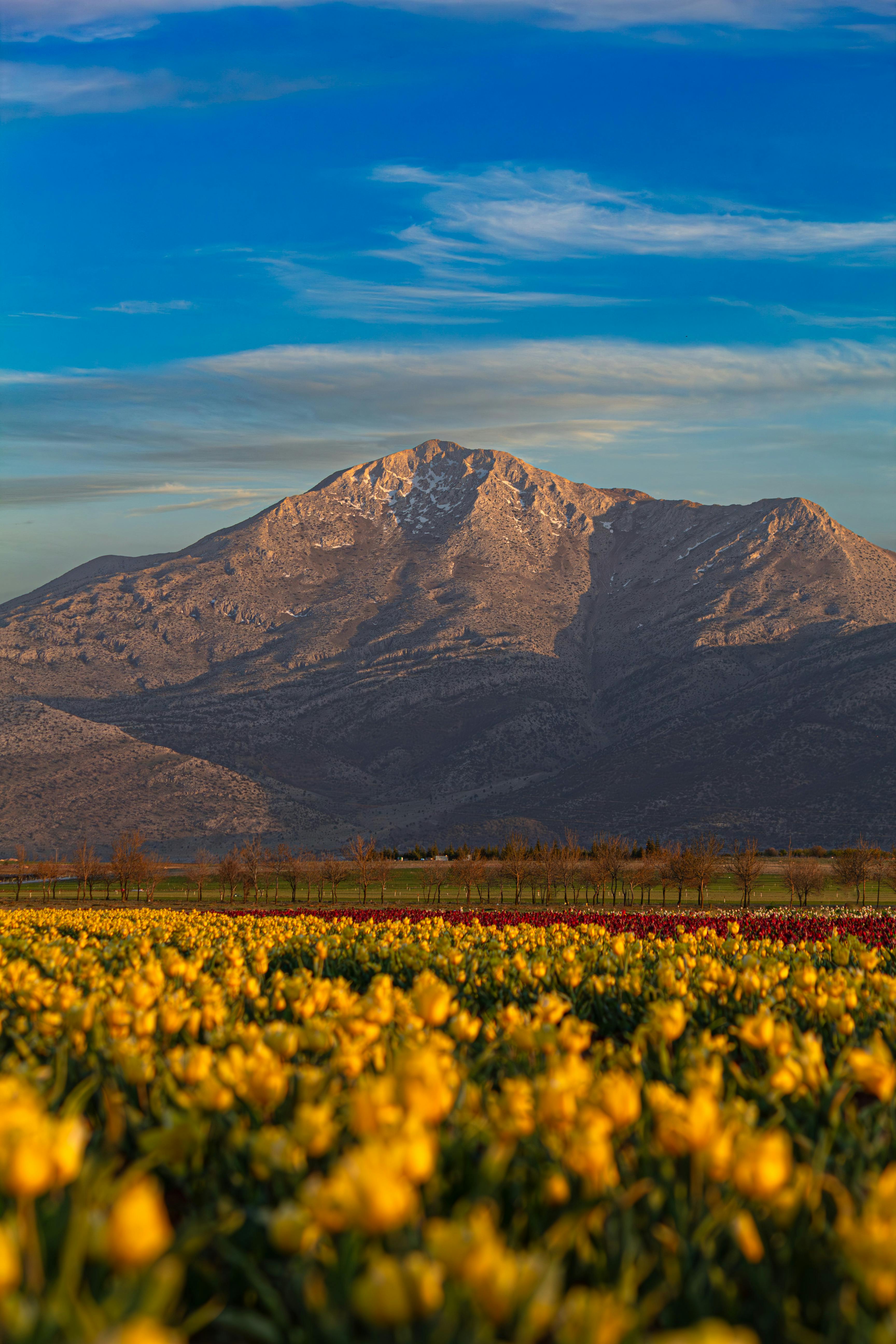 Day Photos, Download The BEST Free Day Stock Photos & HD Images