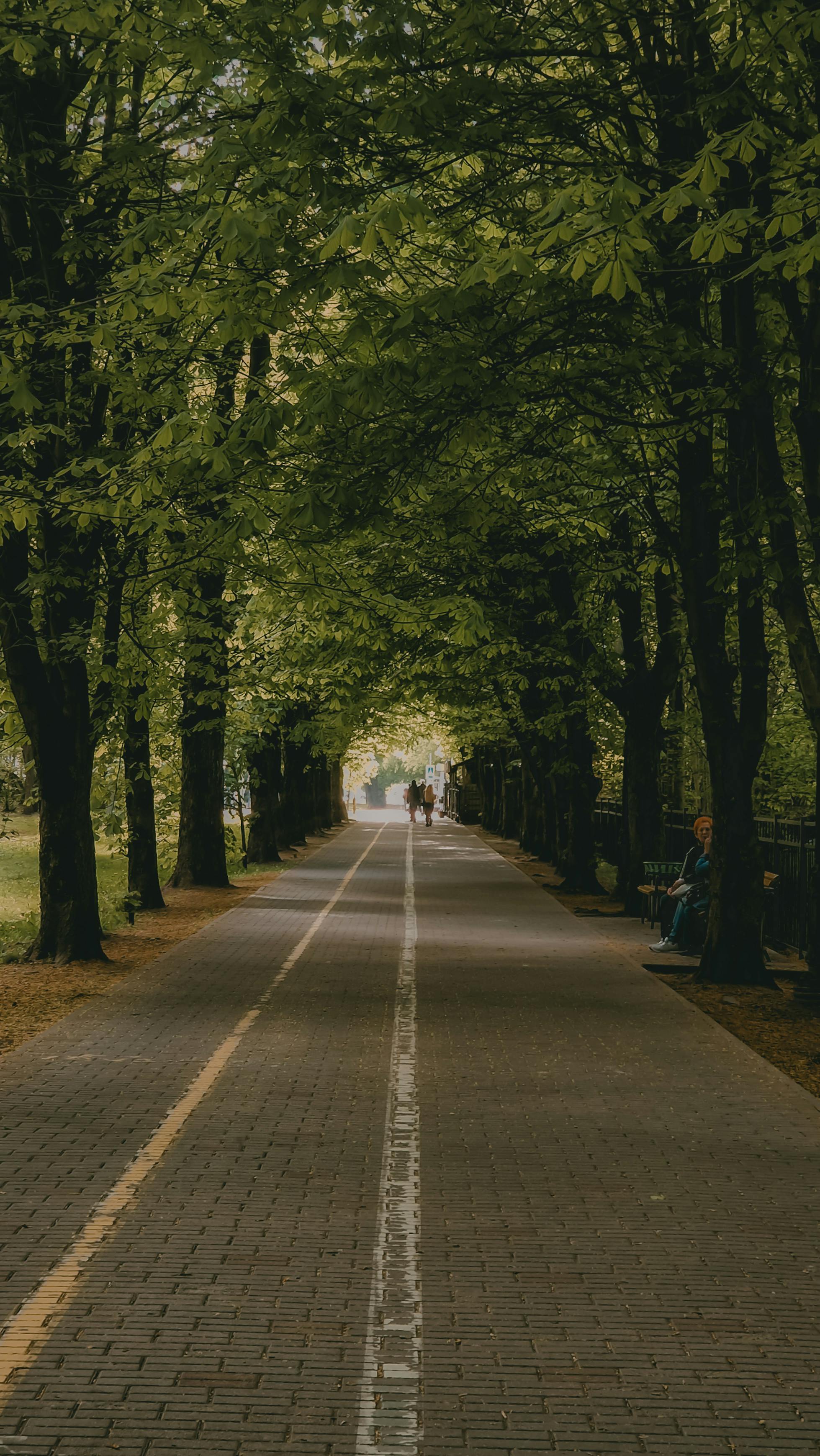 Loki Multiverse Tree Photos, Download The BEST Free Loki Multiverse ...