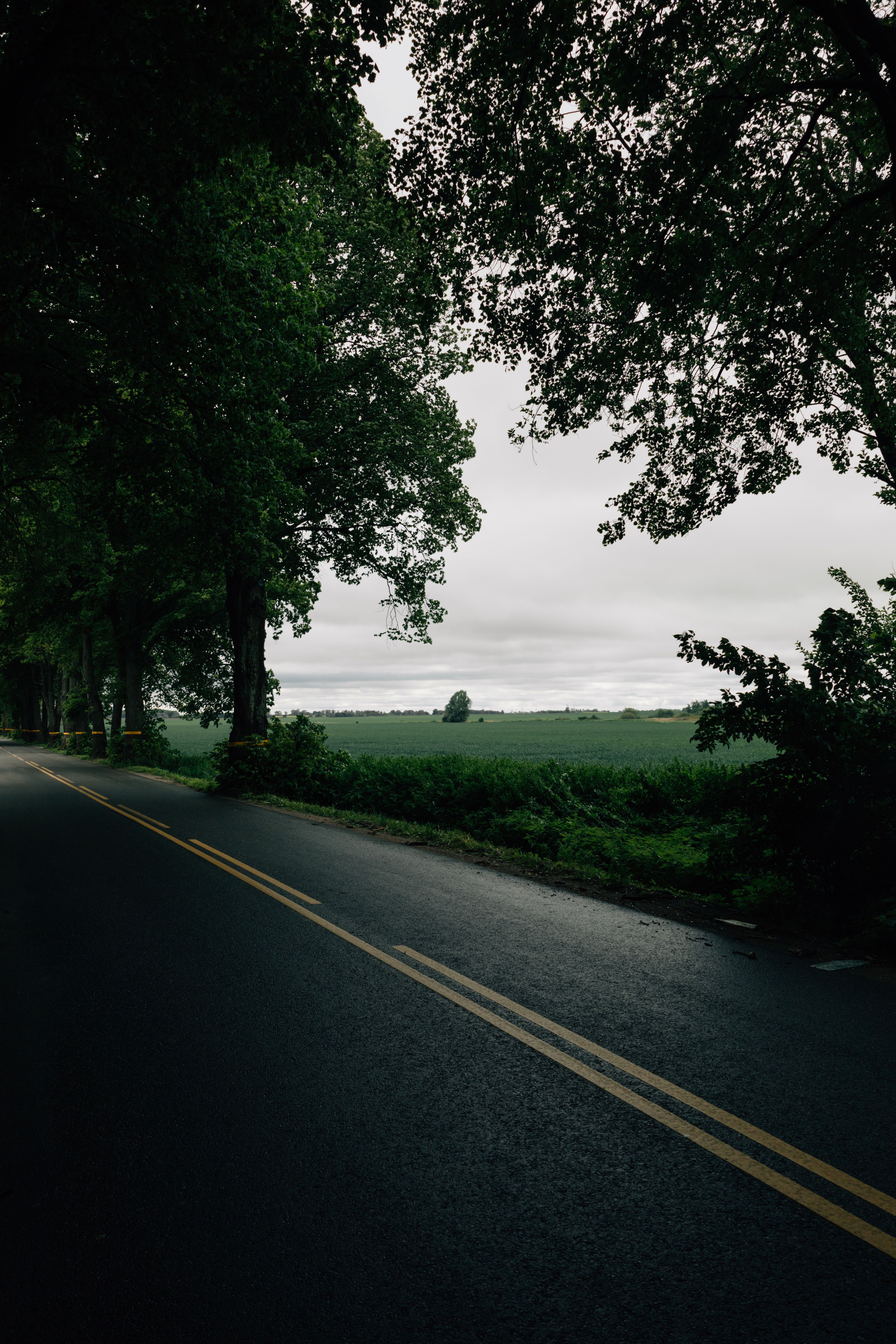Dark Highway Road Photos, Download The BEST Free Dark Highway Road ...