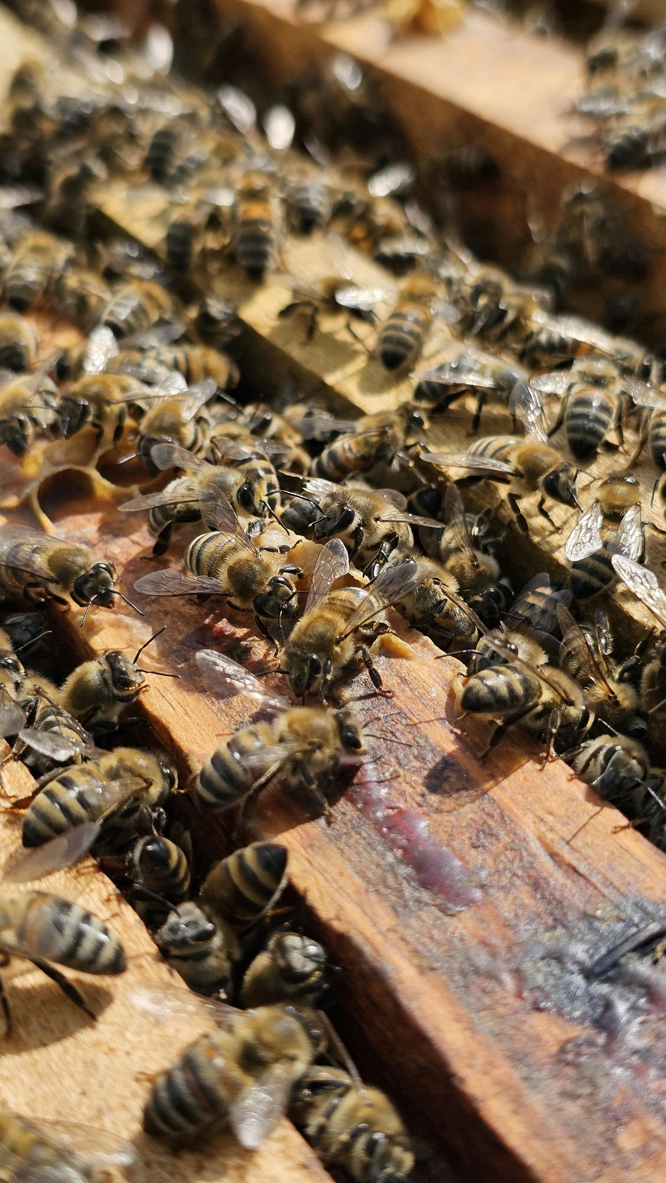 Victoria+Aliko+Sex+Robert+Grah+Production+New+York Photos, Download The ...