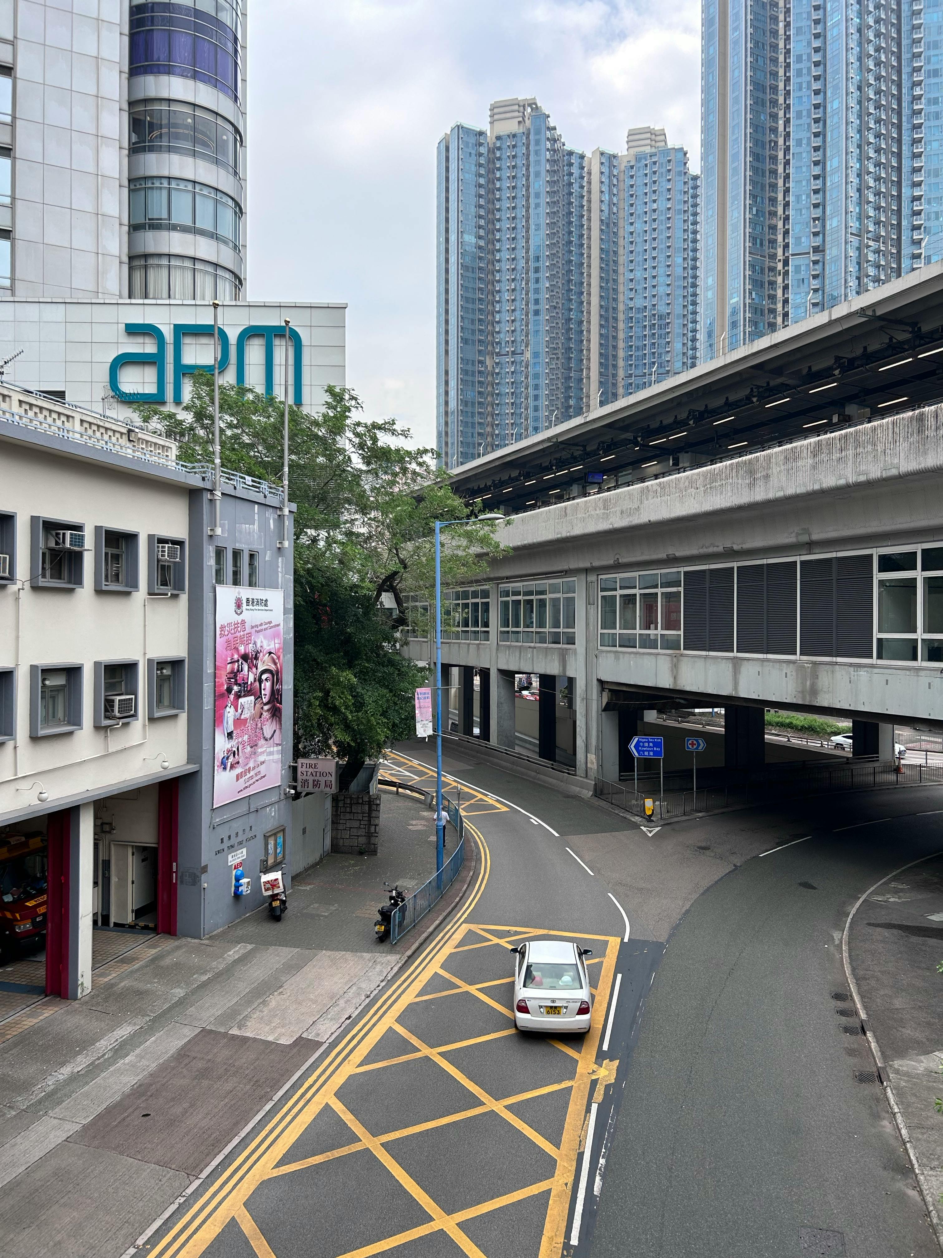 Planning Tree Photos, Download The BEST Free Planning Tree Stock Photos ...