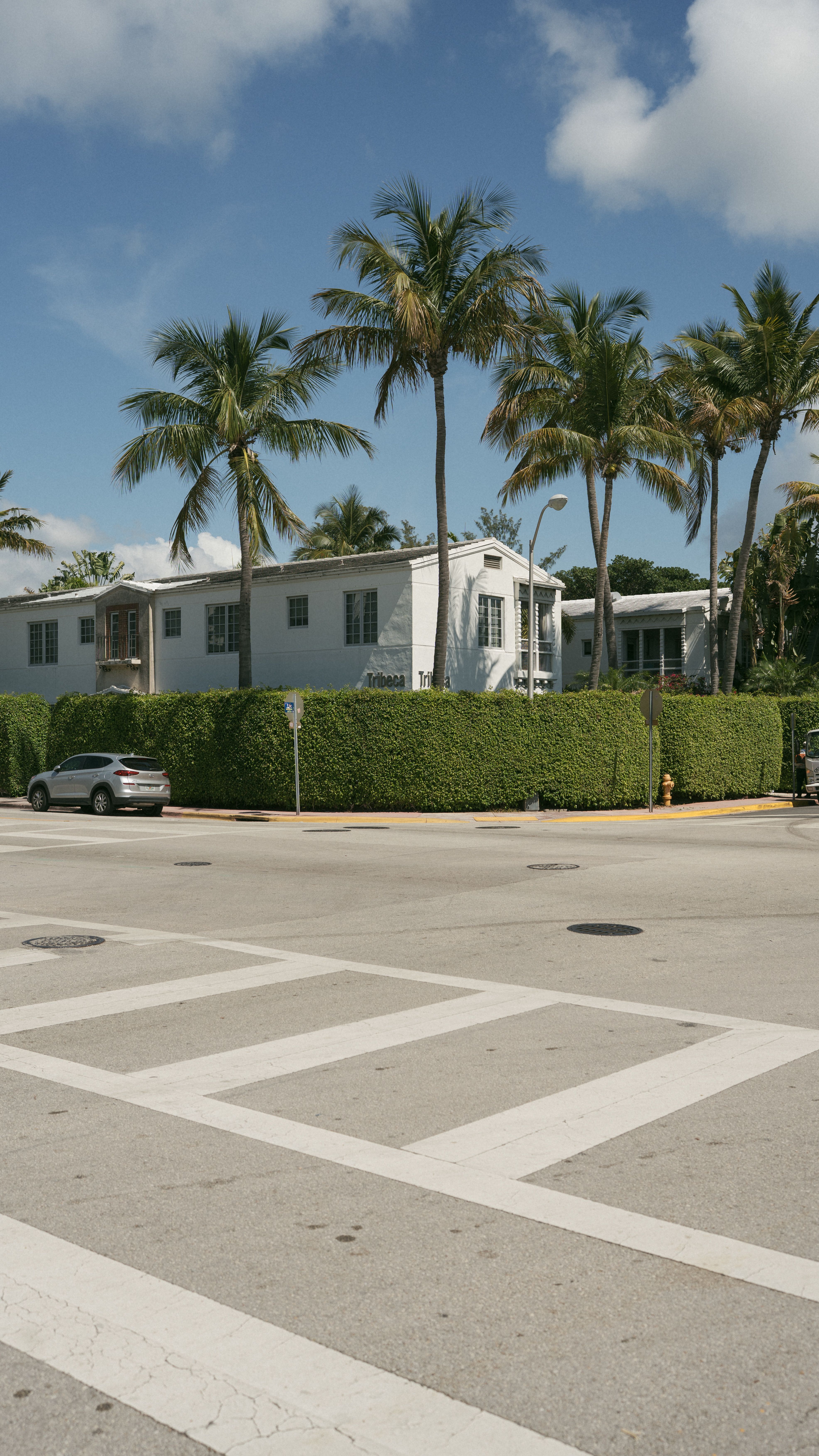 Sunny Florida Street with Palm Trees and Classic Building · Free Stock ...