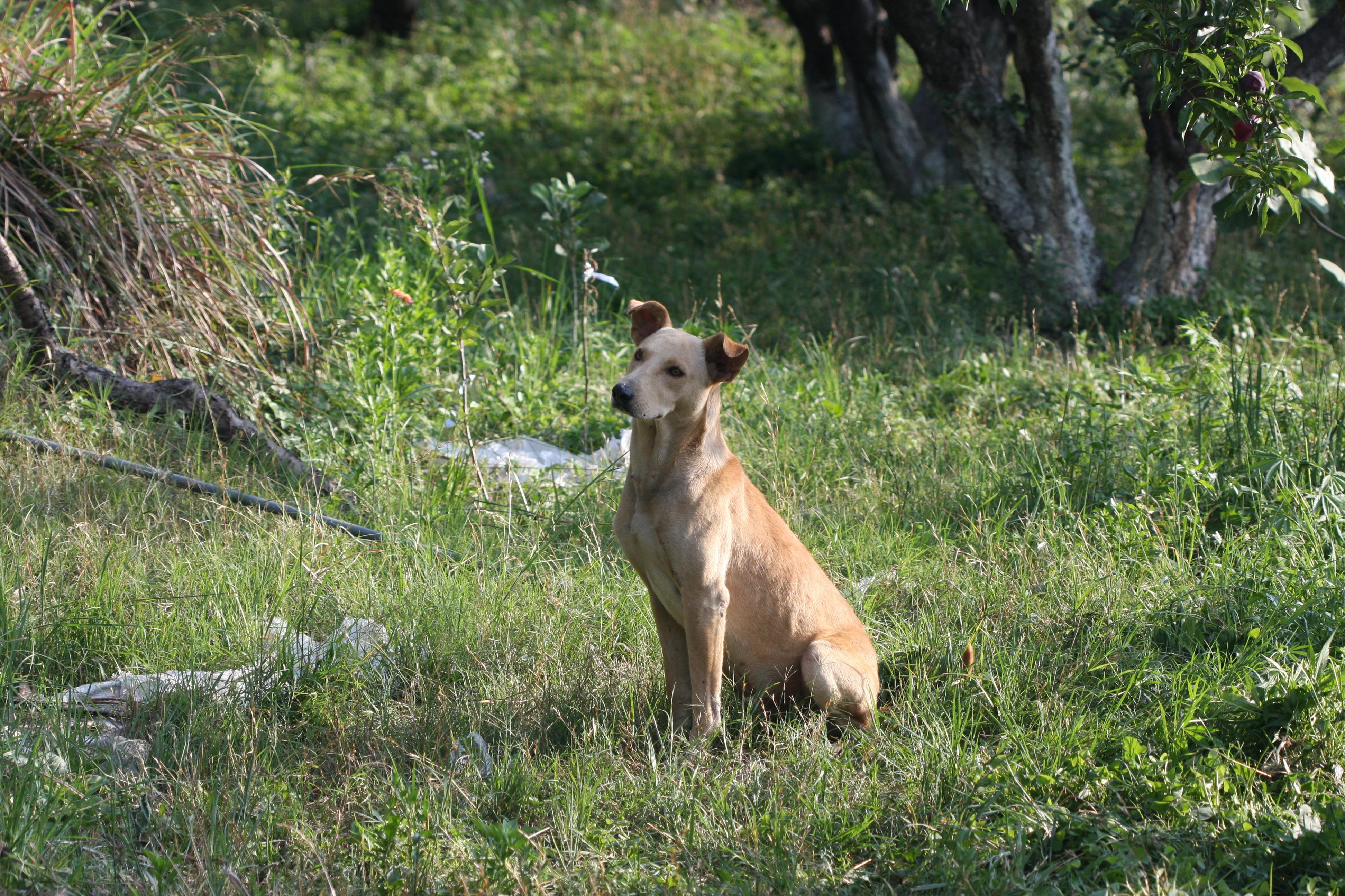 Background Without Watermark Photos, Download The BEST Free Background ...