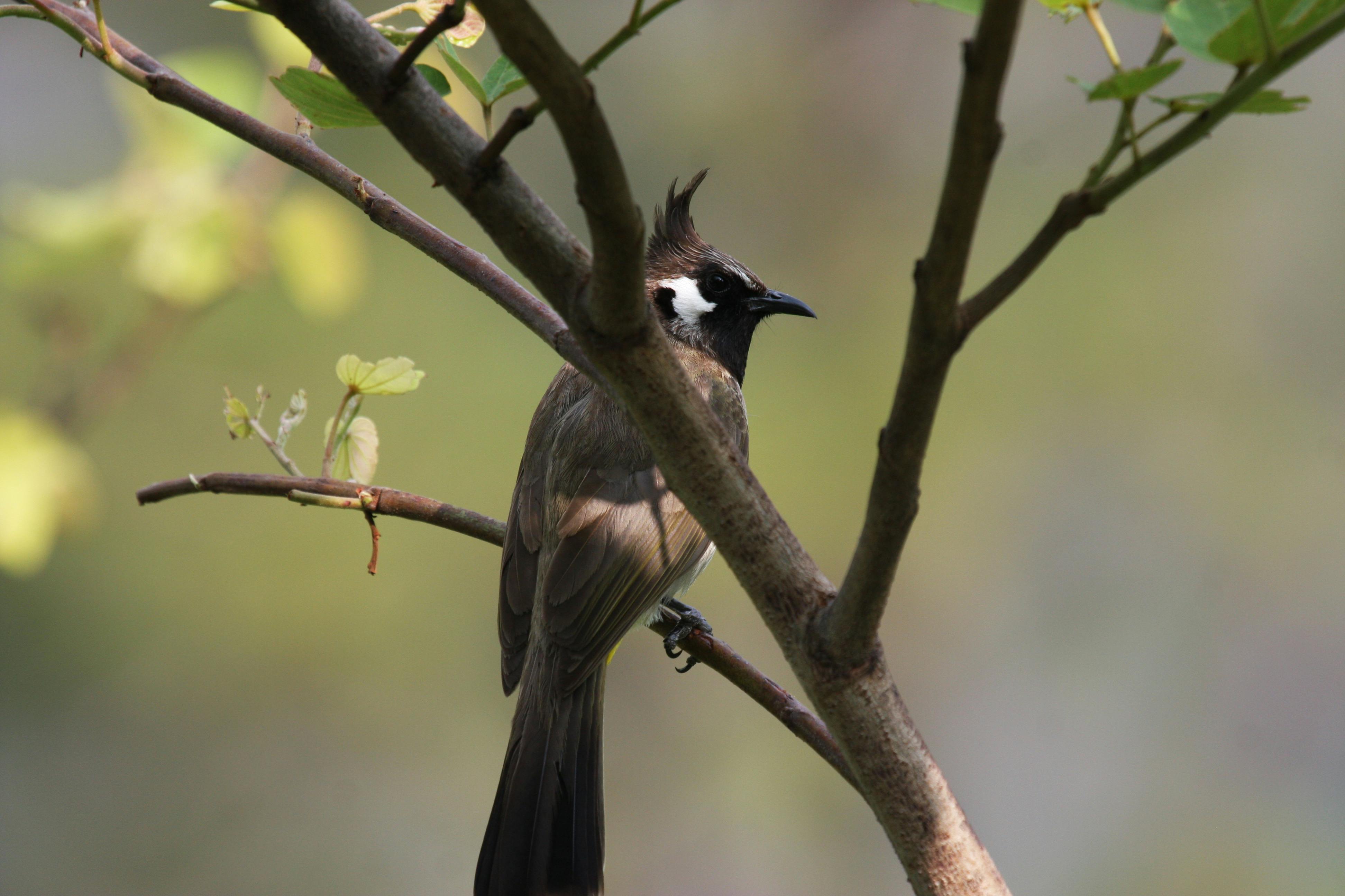 Hd Background Biru Photos, Download The BEST Free Hd Background Biru ...