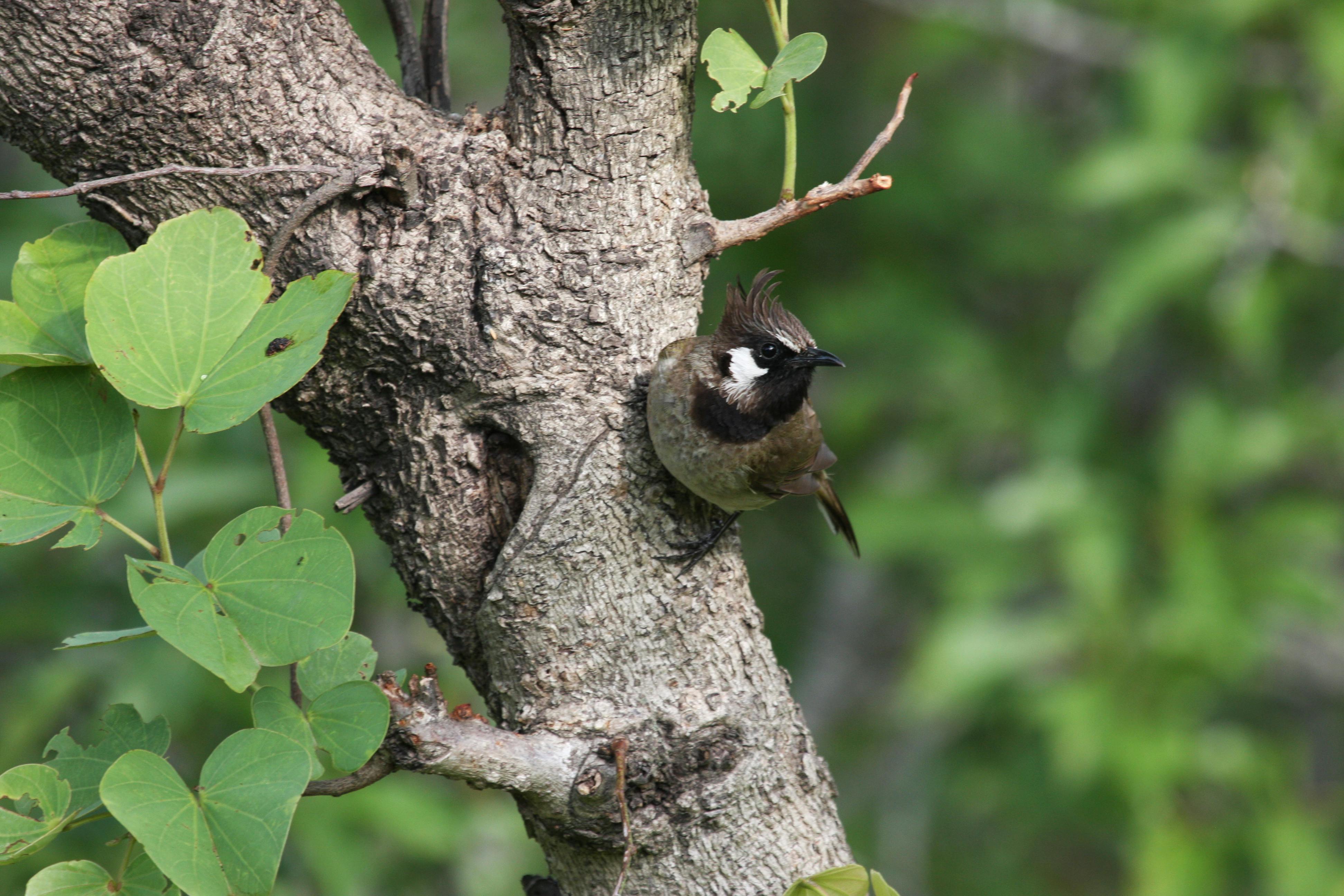 Cybersigilism Wallpaper Photos, Download The BEST Free Cybersigilism ...