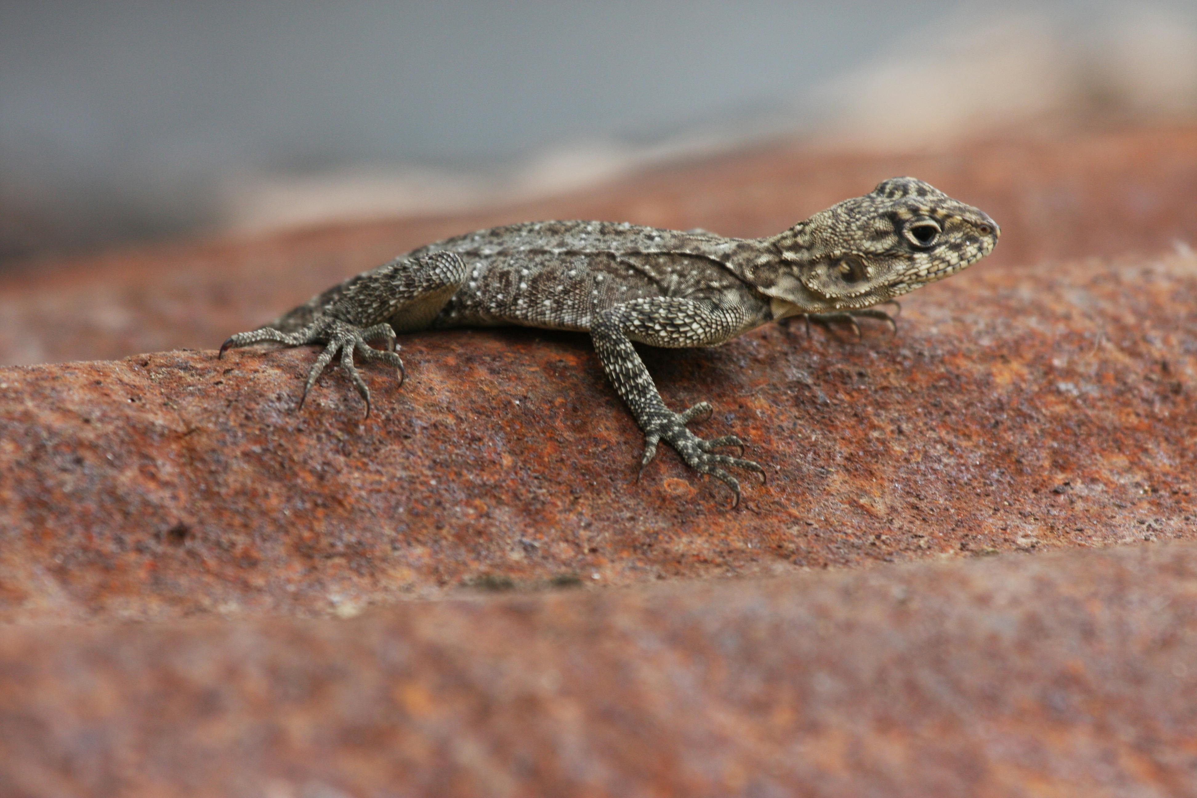 Cybersigilism Wallpaper Photos, Download The BEST Free Cybersigilism ...