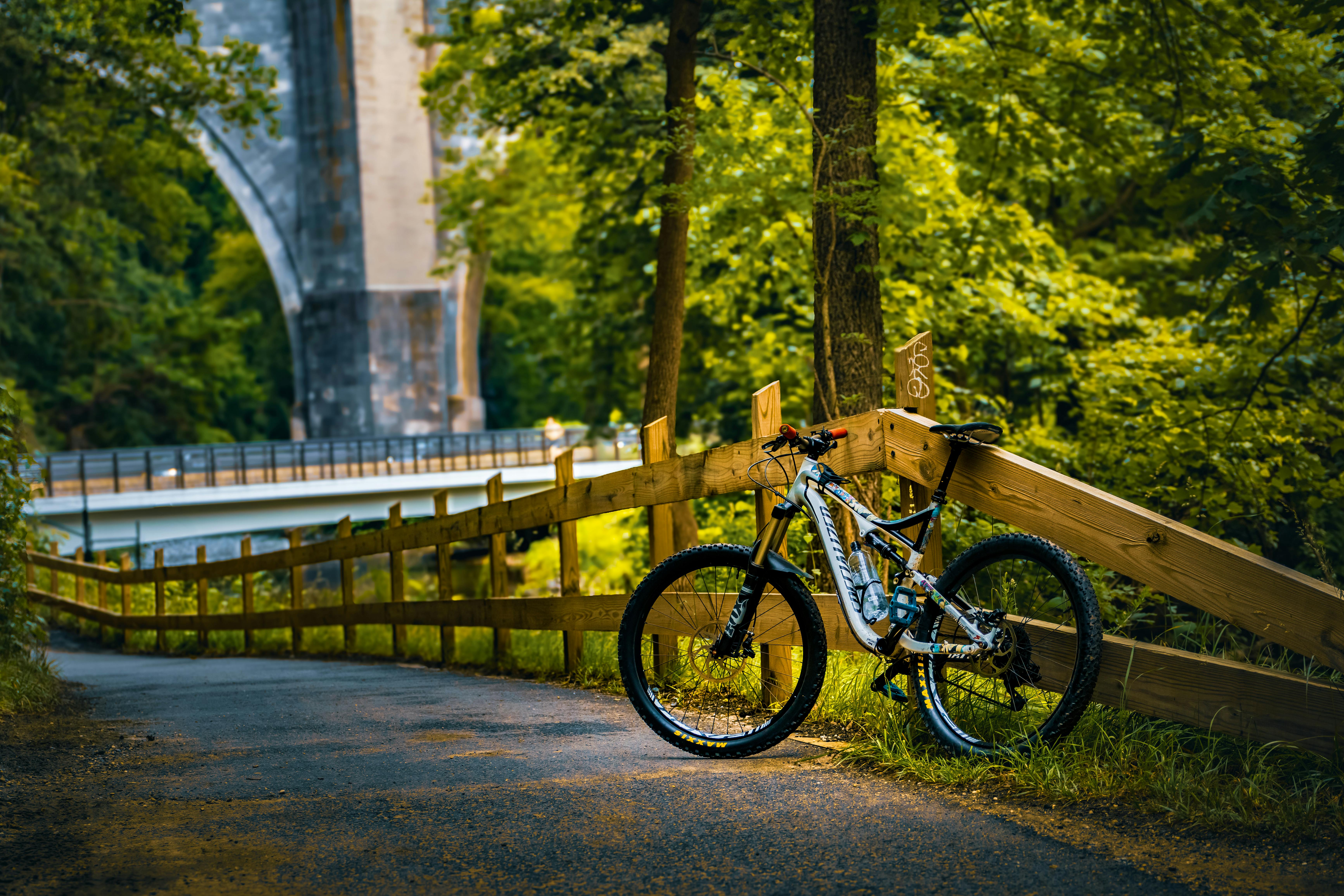 Bike Ride Photos, Download The BEST Free Bike Ride Stock Photos & HD Images