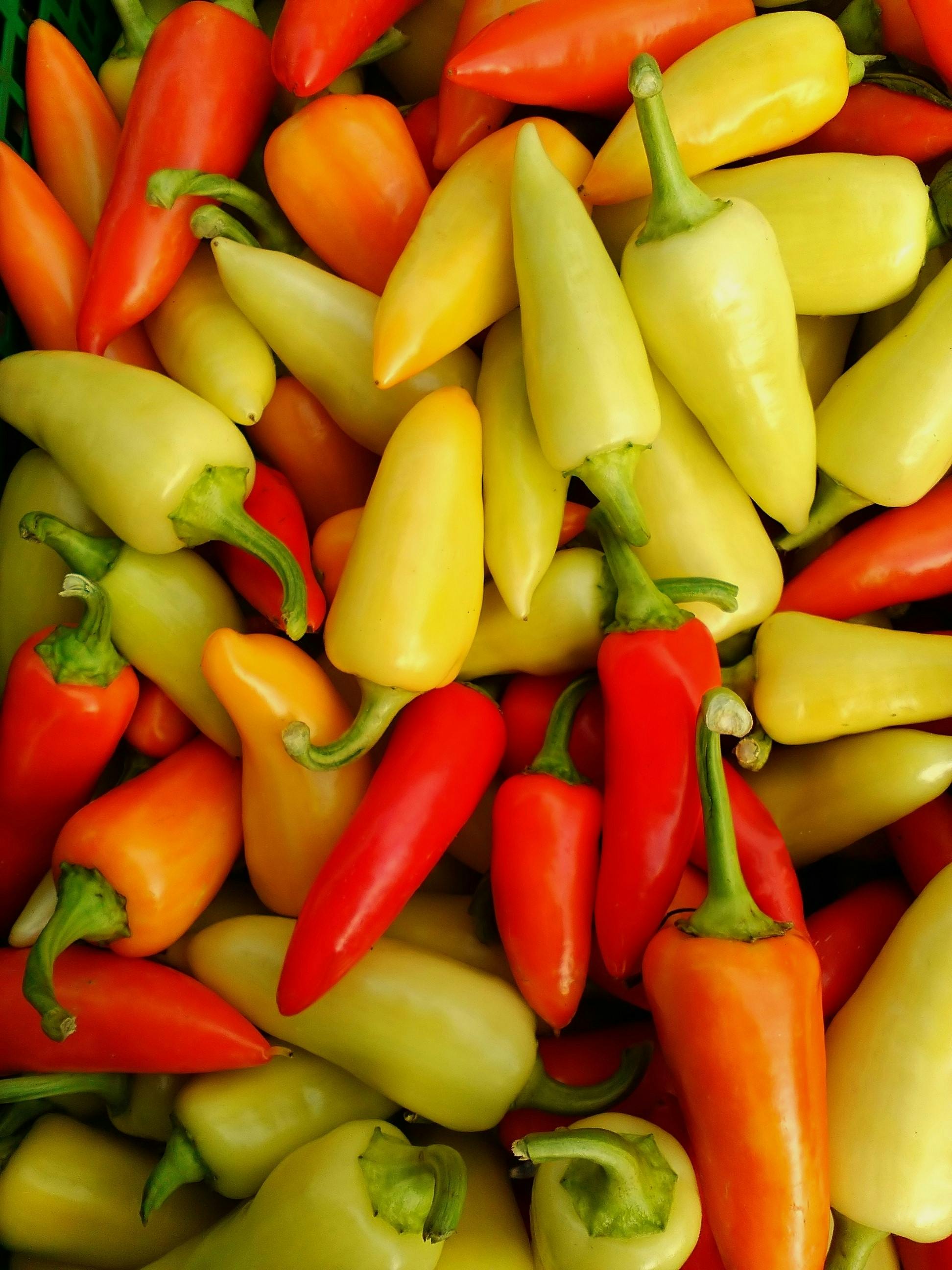 Raw Pixels Photos, Download The BEST Free Raw Pixels Stock Photos & HD ...