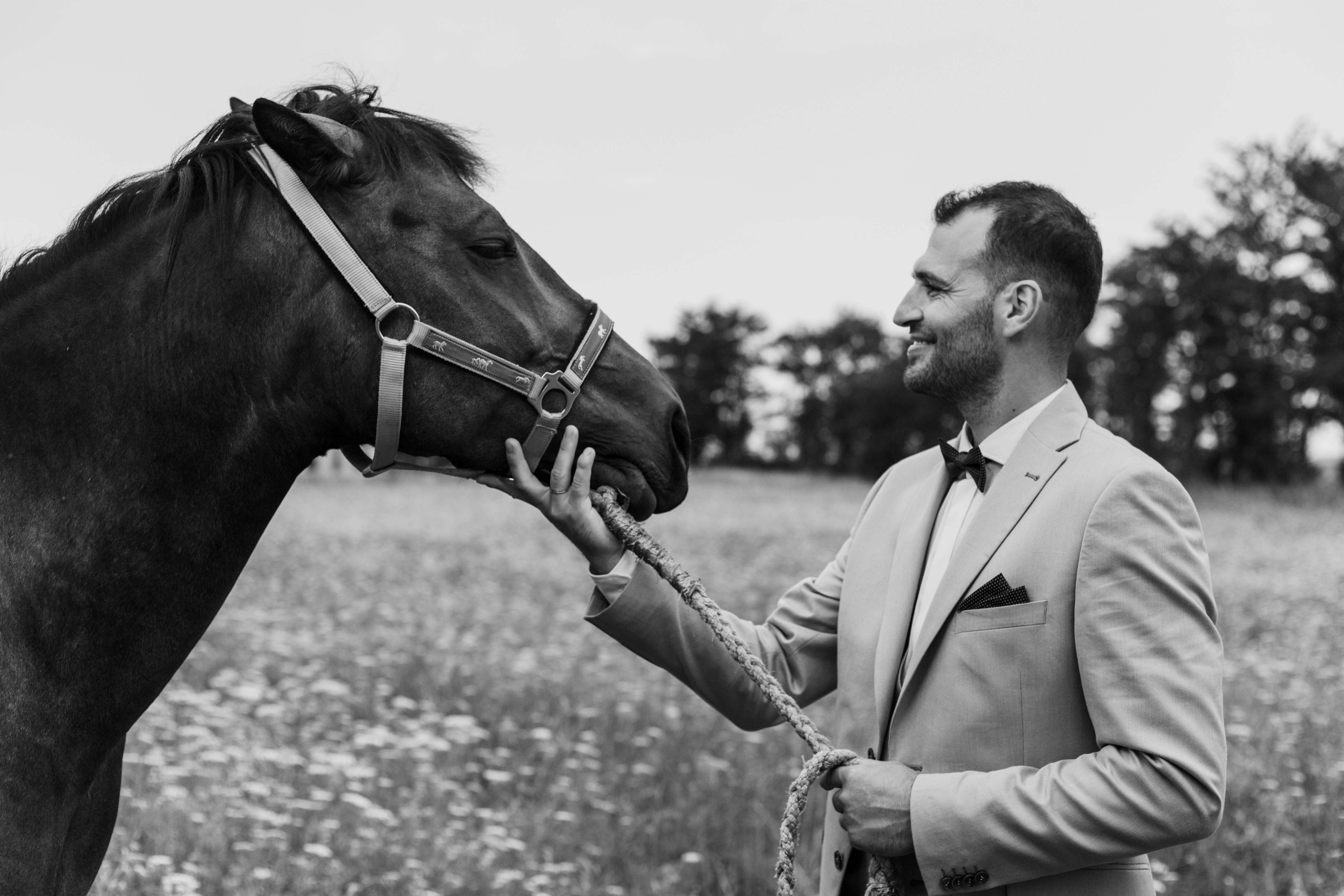 Ve Day Photos, Download The BEST Free Ve Day Stock Photos & HD Images