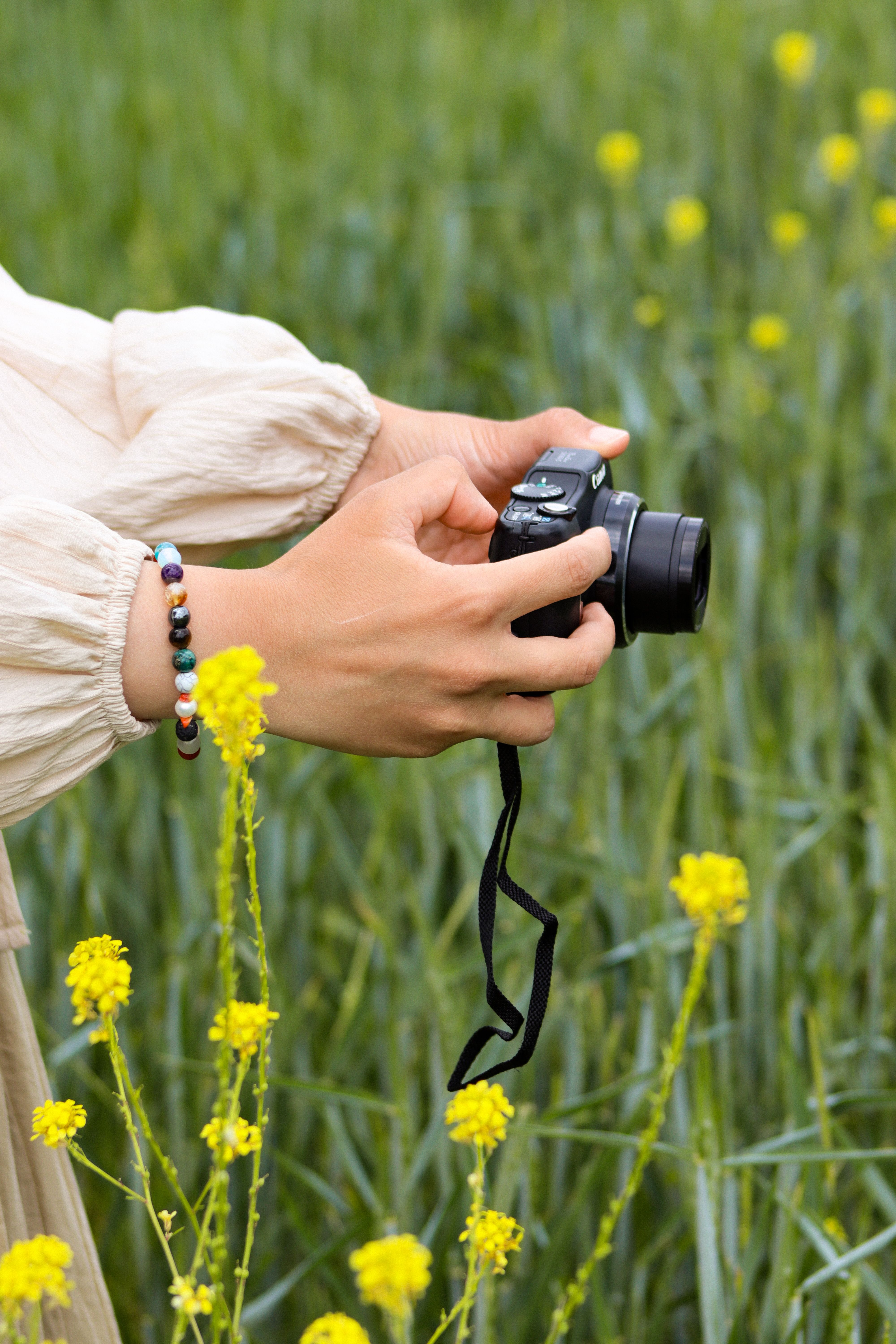 Close-up of hands holding a camera in a field · Free Stock Photo