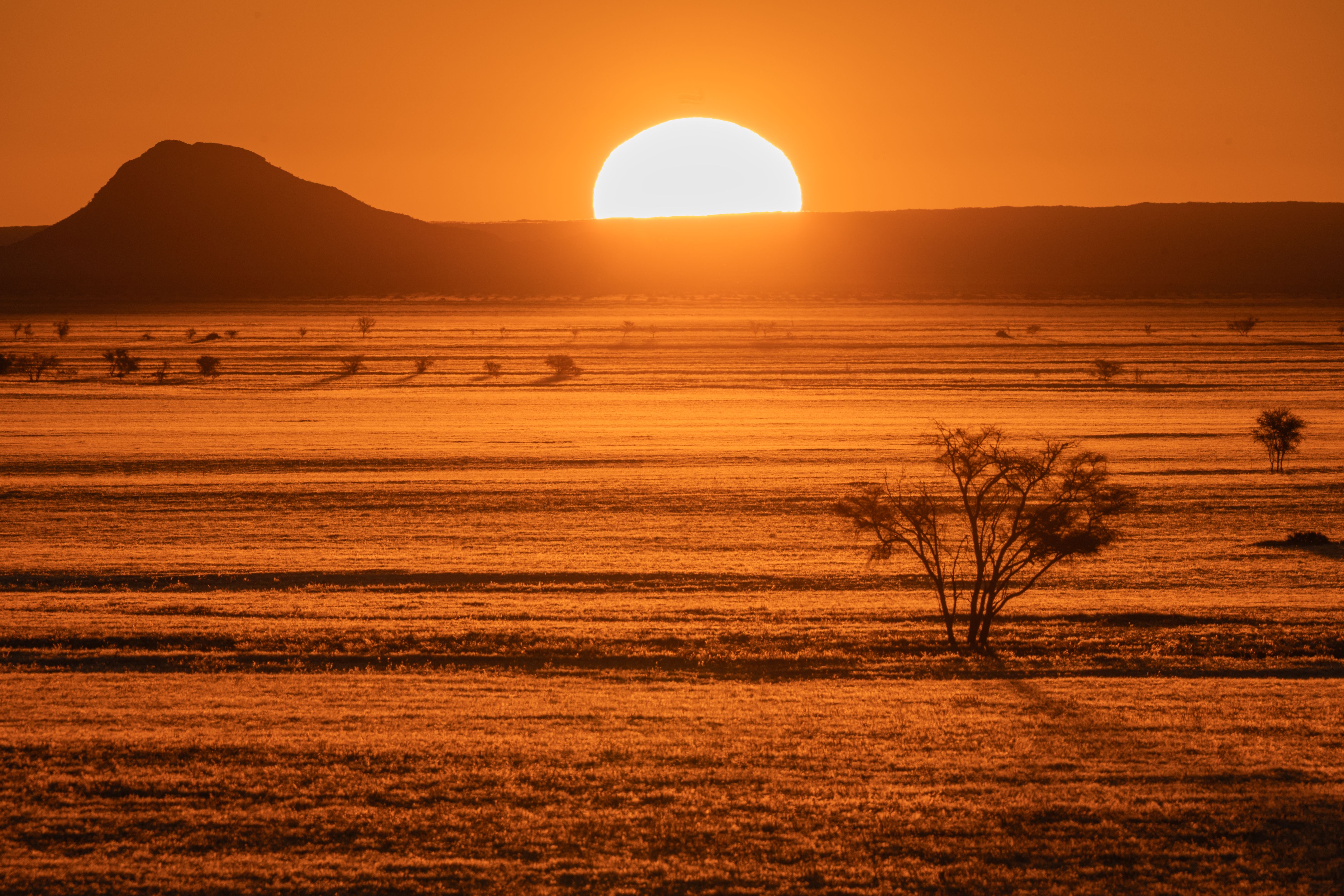 Coucher De Soleil Majestueux Sur La Savane Africaine En Namibie · Photo ...