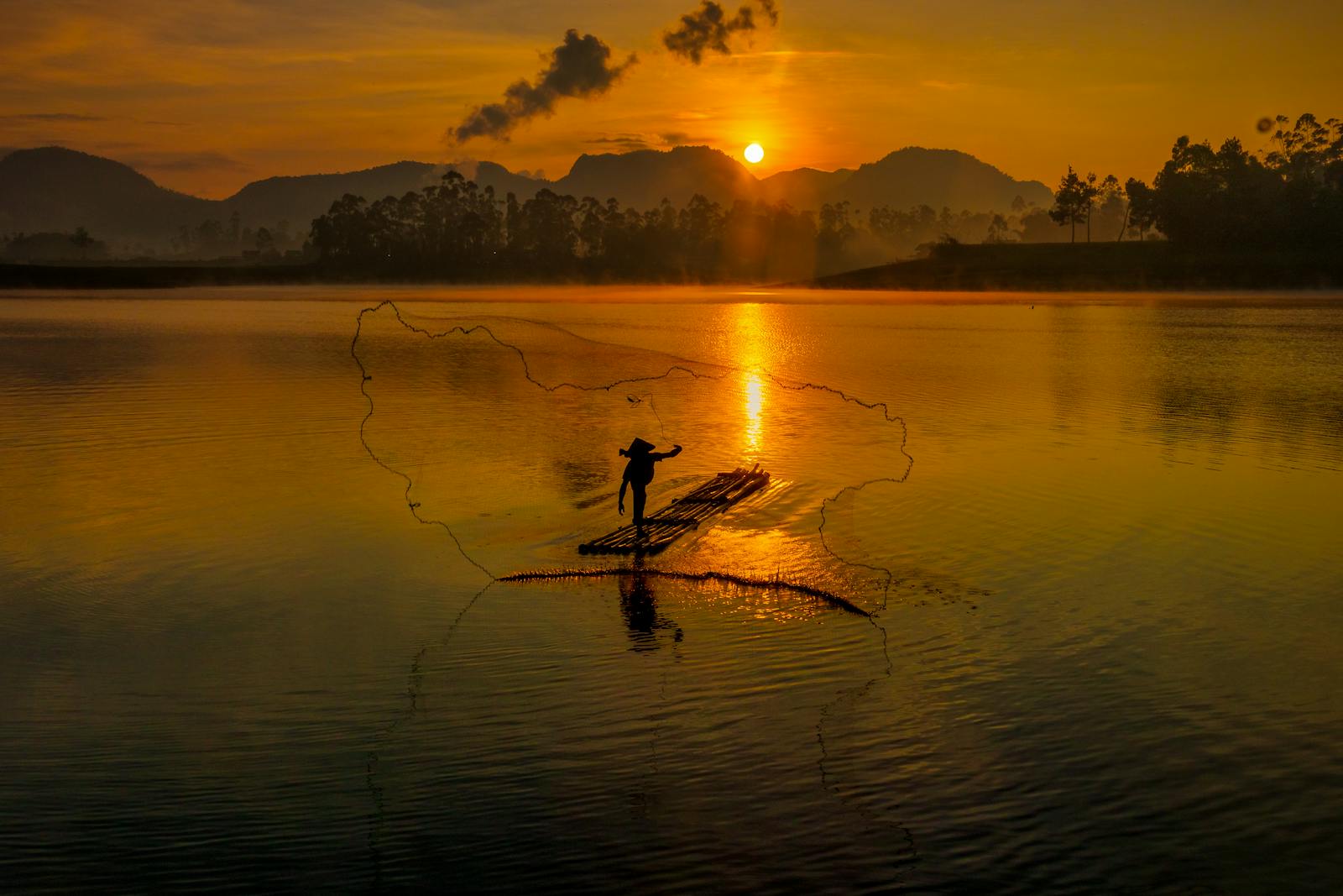 Lonely+Tree+At+Tossa+De+Mar+On+Sunrise Photos, Download The BEST Free ...