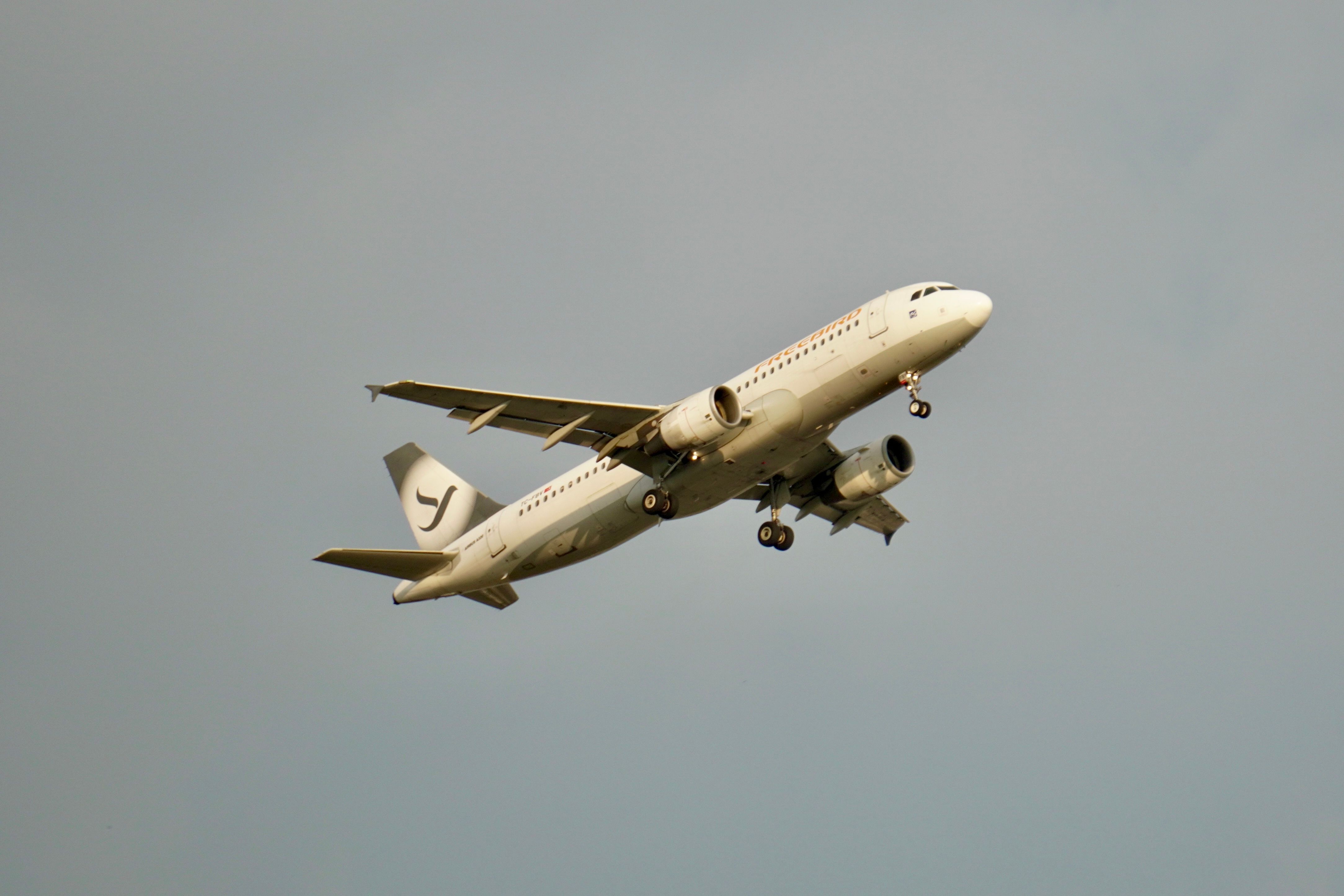 Commercial Airplane in Flight Against Sky · Free Stock Photo