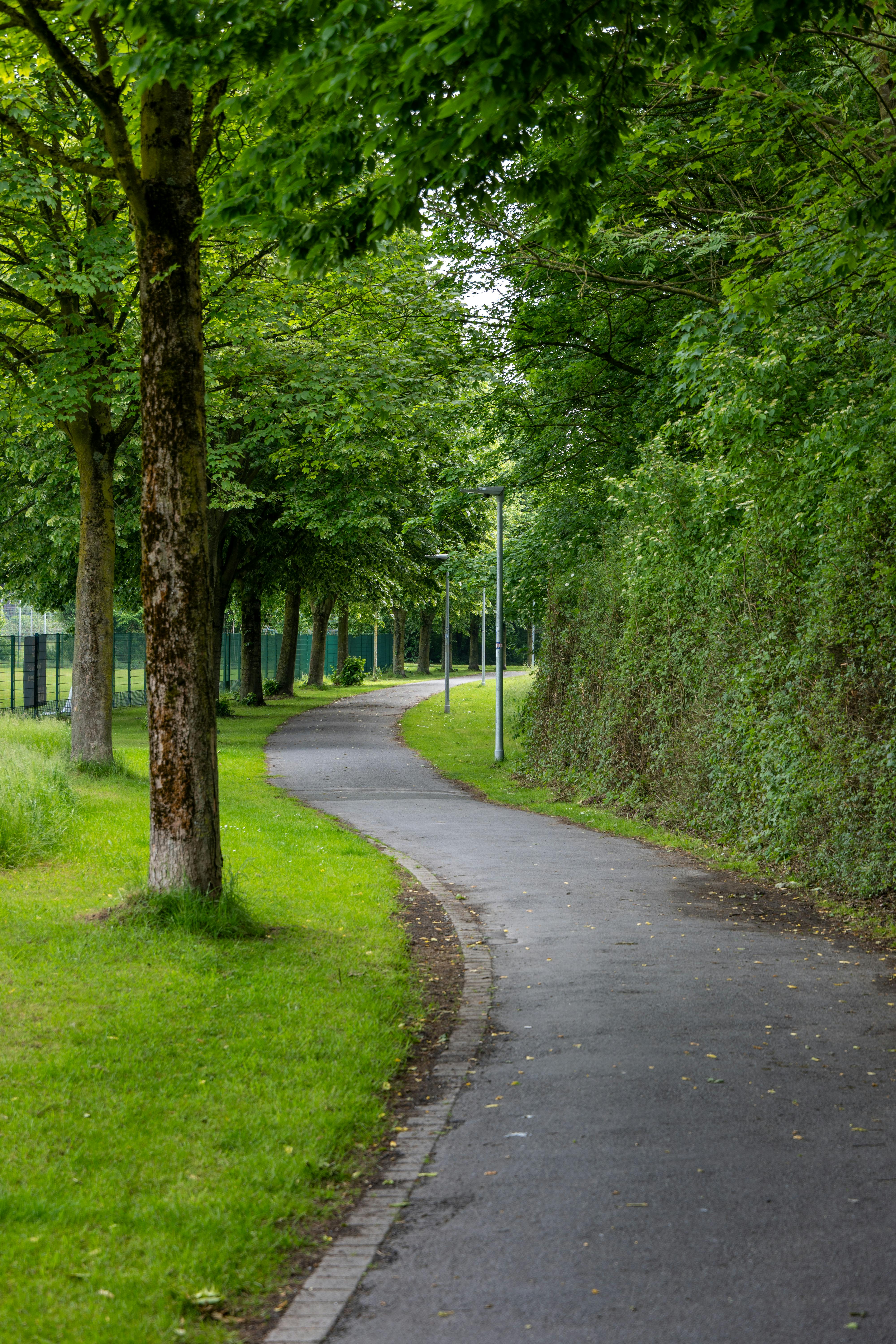 Park Footpath Photos, Download The BEST Free Park Footpath Stock Photos ...