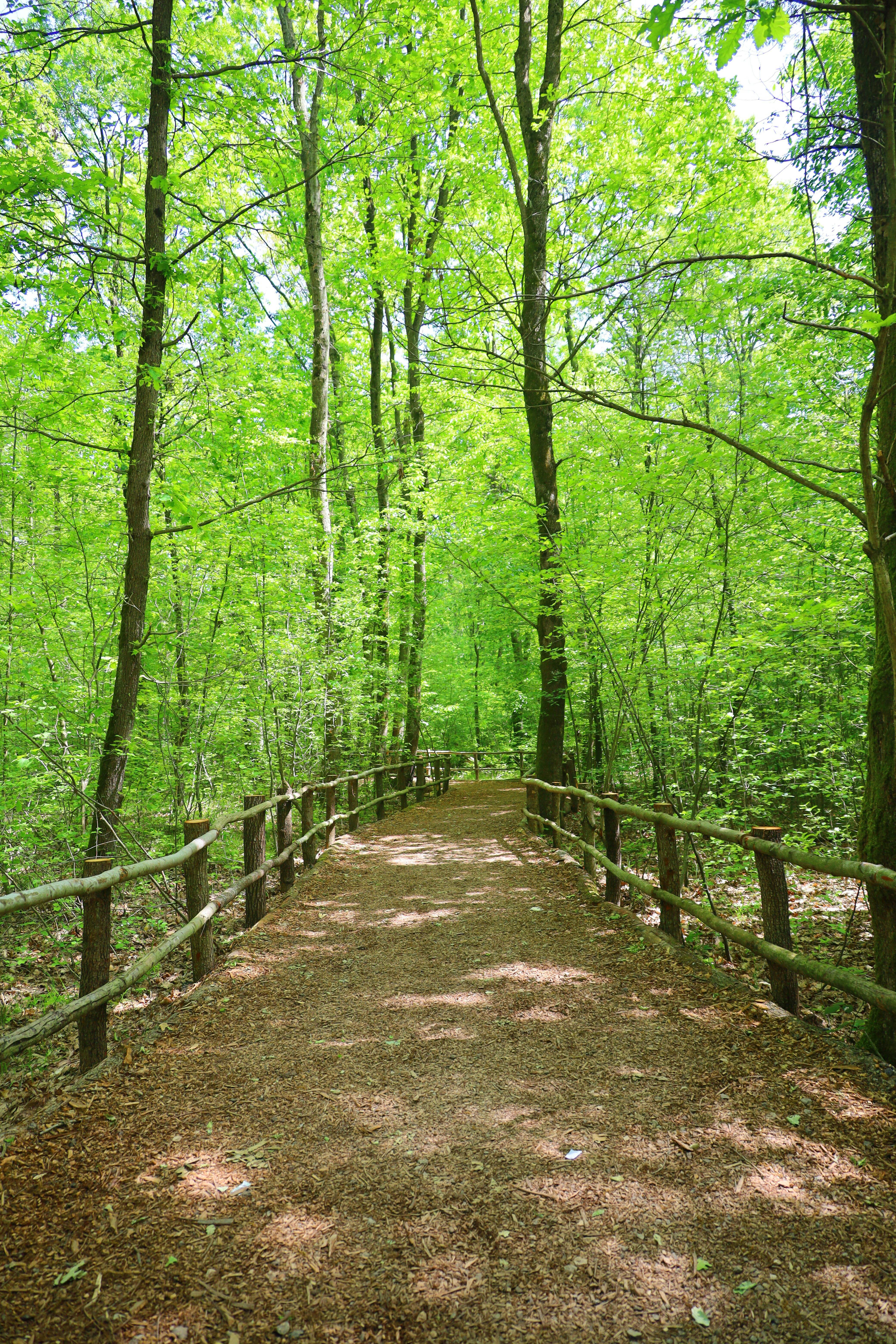 Earth Hsnd Photos, Download The BEST Free Earth Hsnd Stock Photos & HD ...