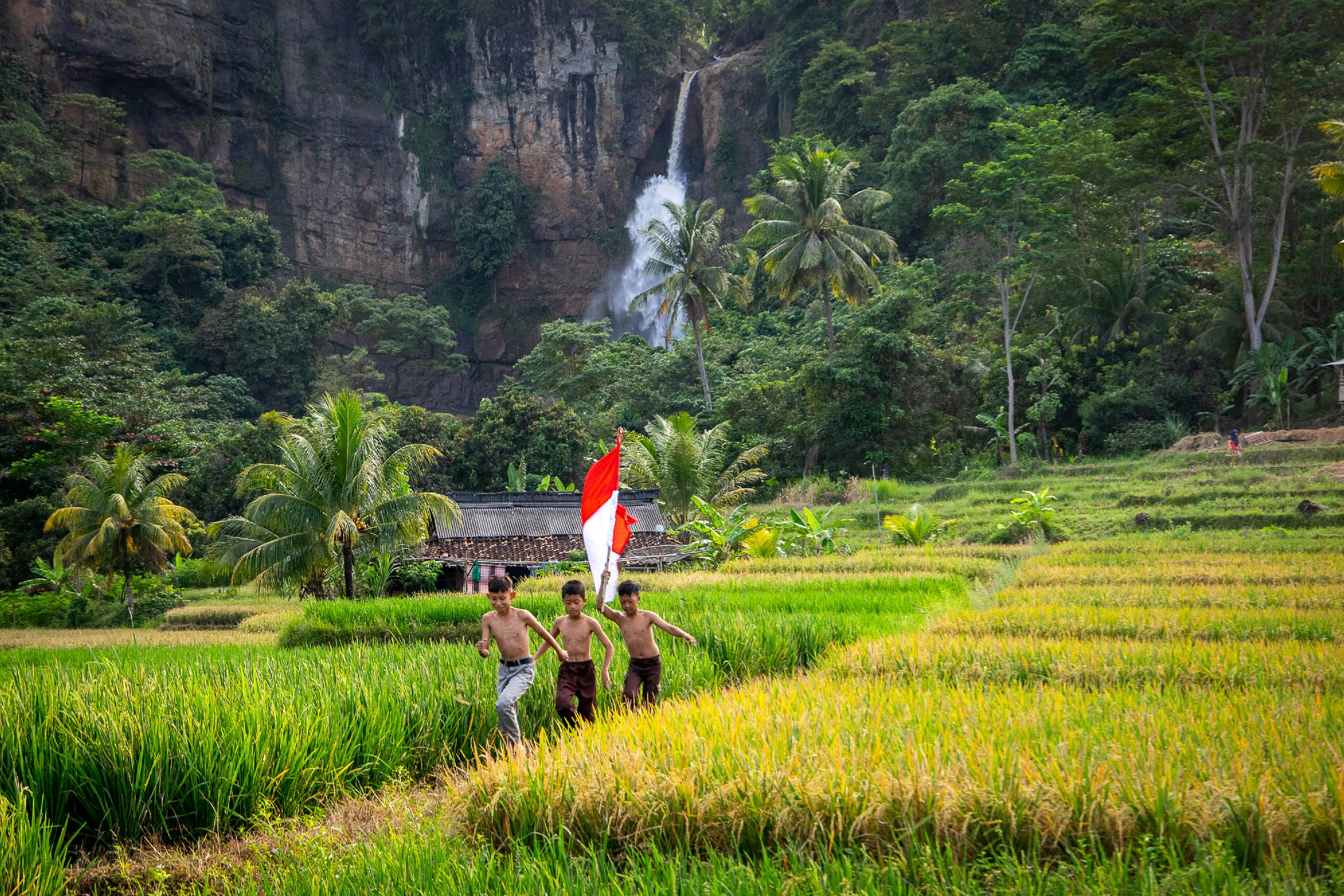 Anak Anak Berpesta Di Sawah Dekat Air Terjun Cimarinjung · Foto Stok Gratis