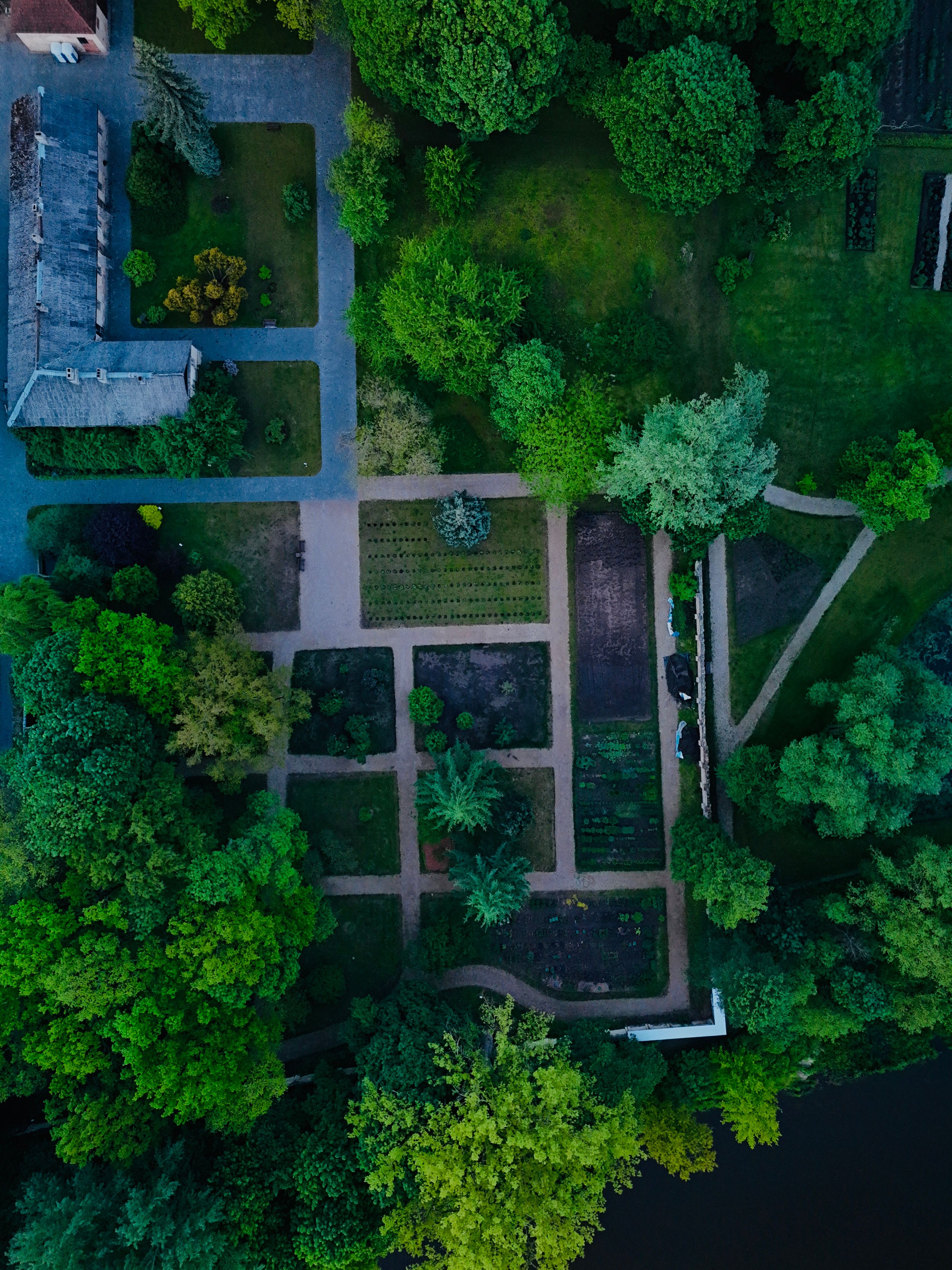 Aerial View of Lush Green Park Pathways and Trees · Free Stock Photo
