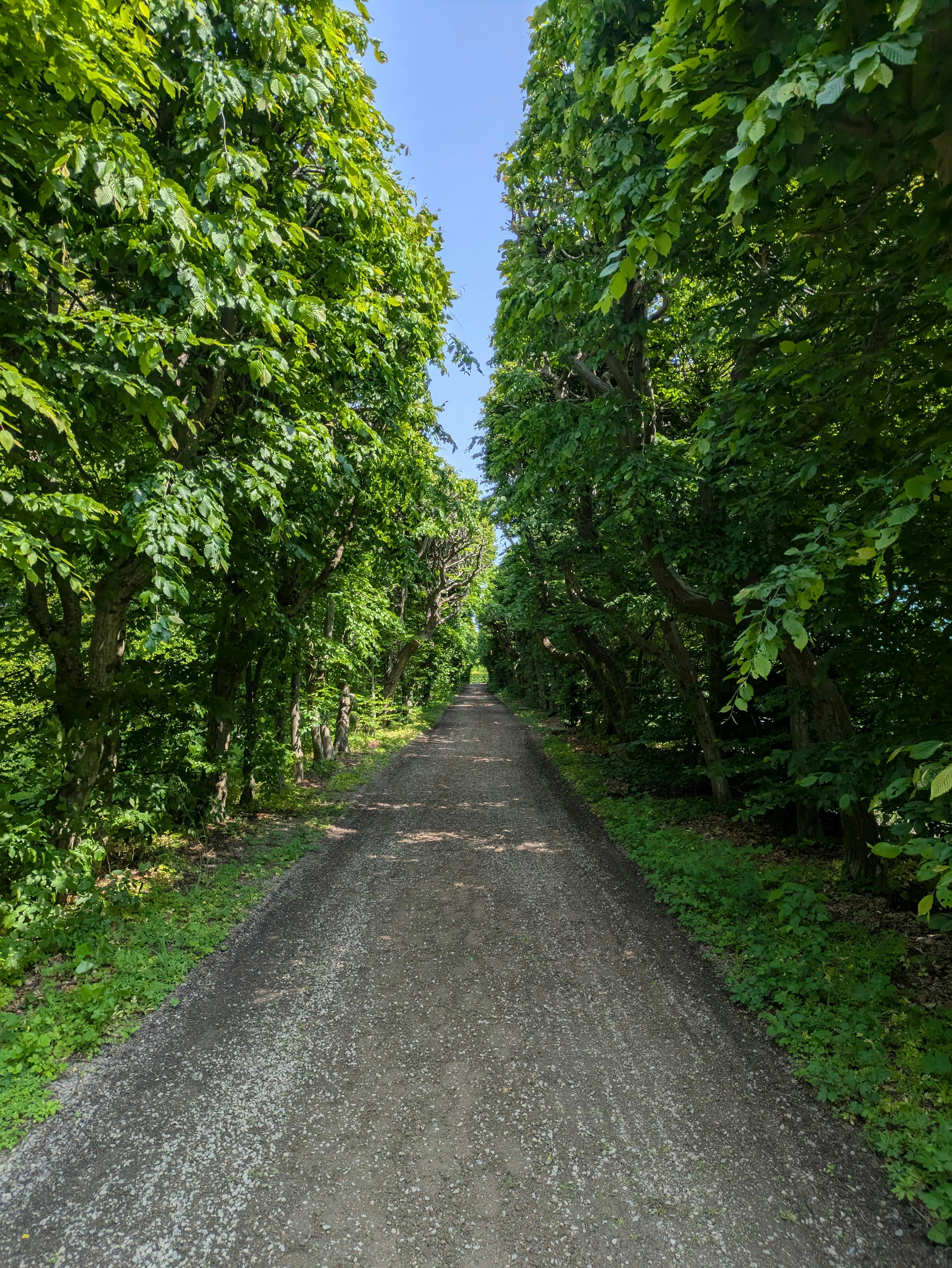 Phone And Health Photos, Download The BEST Free Phone And Health Stock ...