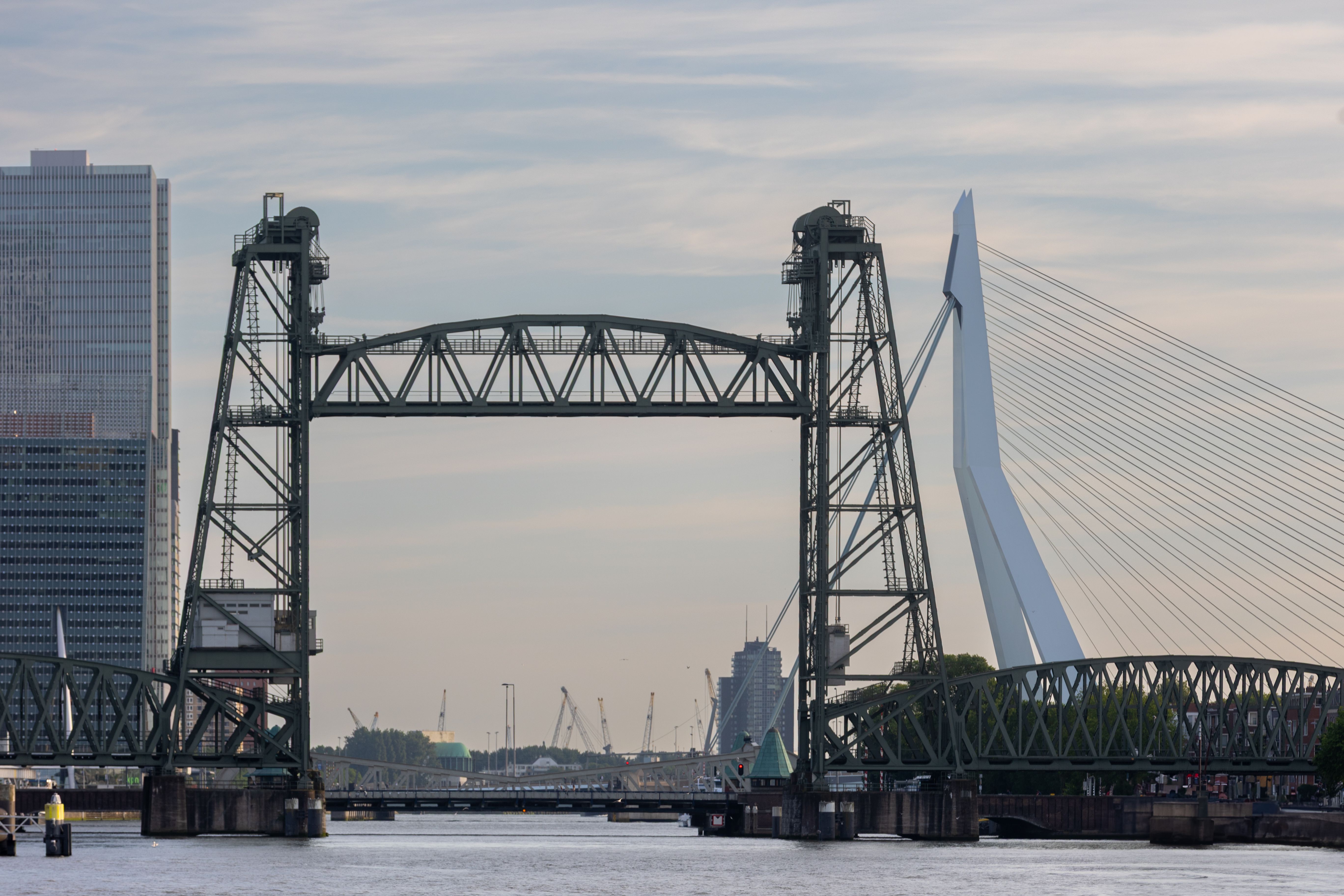 Modern Bridge Over Saigon River in Ho Chi Minh City · Free Stock Photo
