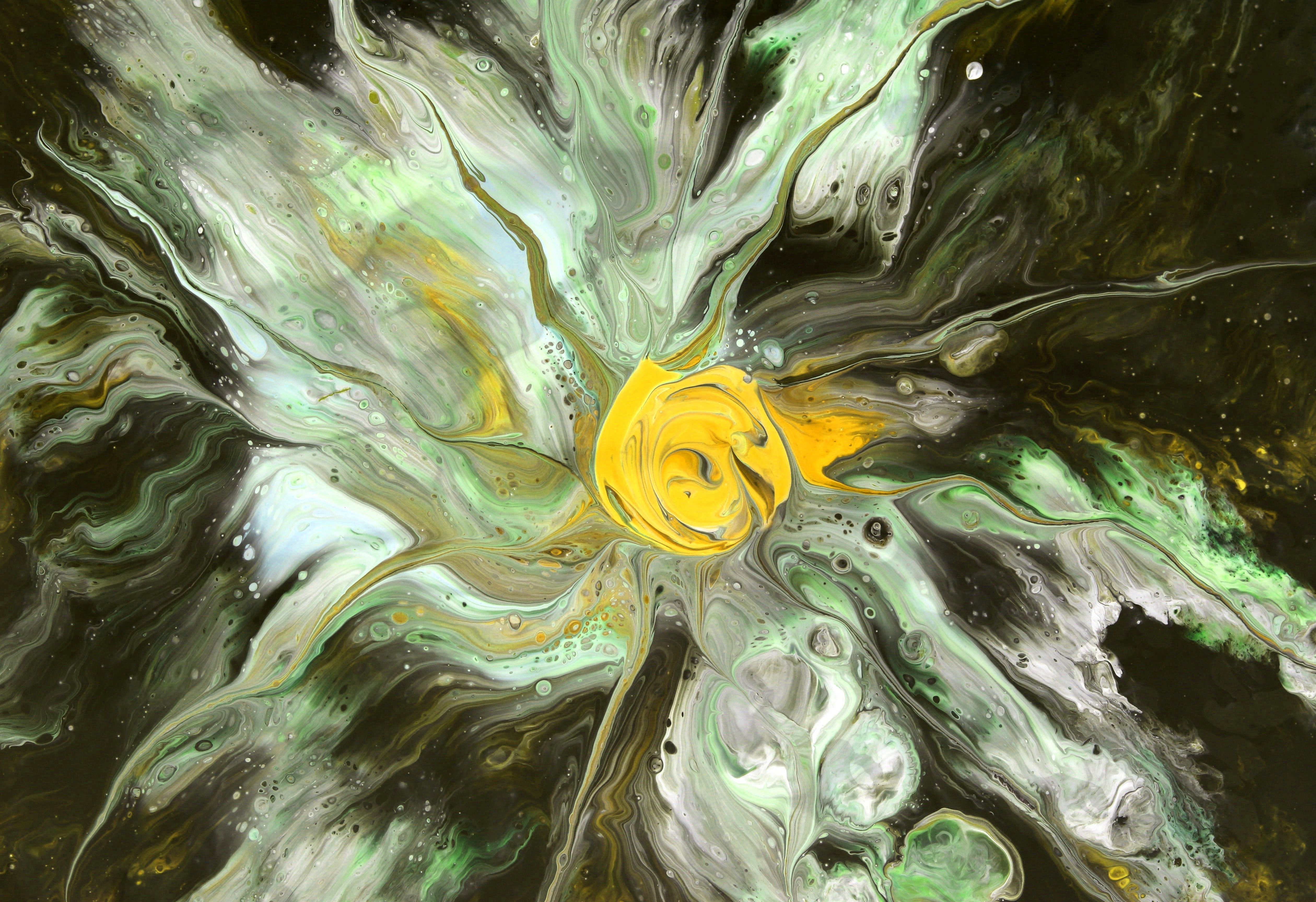 Art Painting Photos, Download The BEST Free Art Painting Stock Photos ...