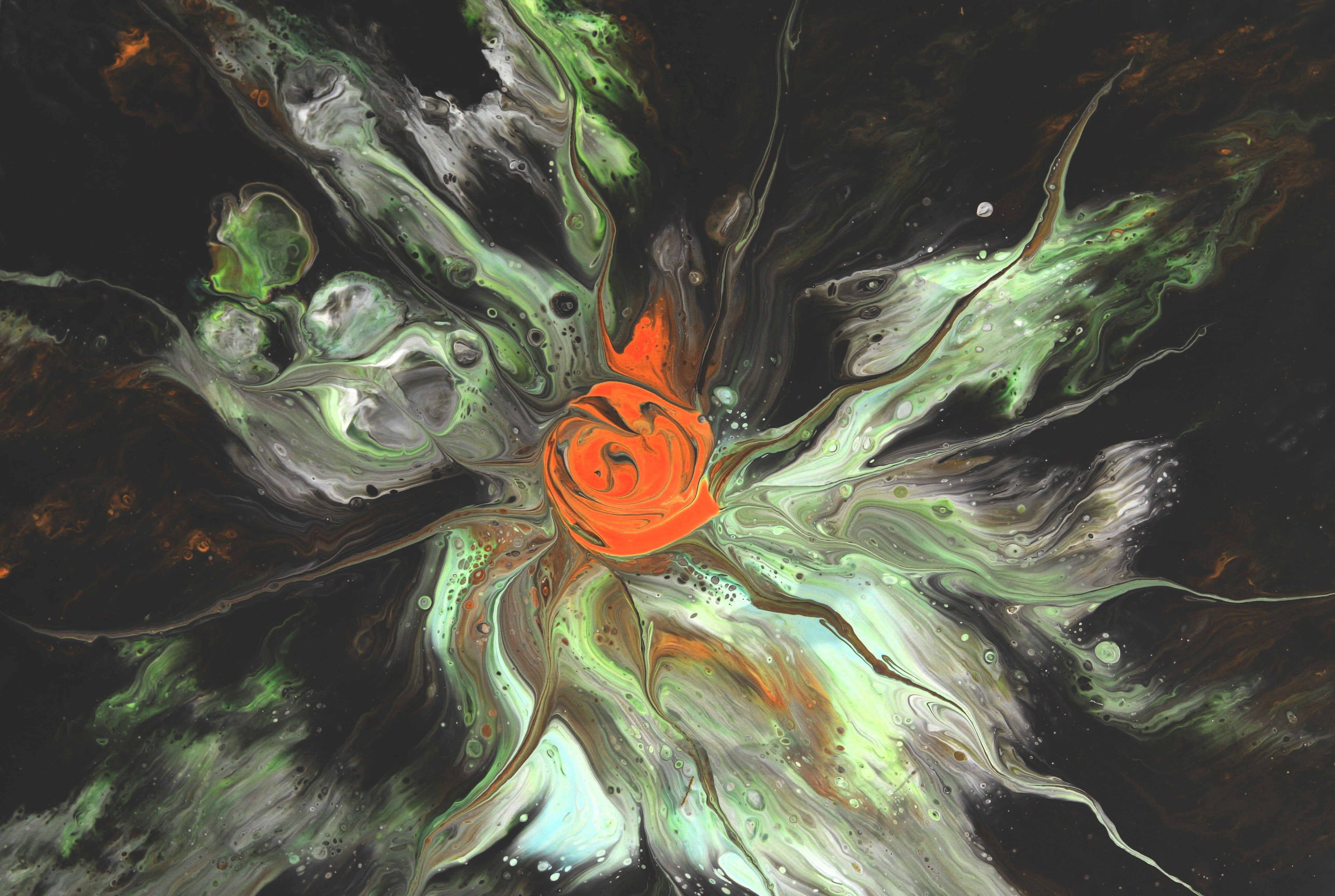 Art Painting Photos, Download The BEST Free Art Painting Stock Photos ...
