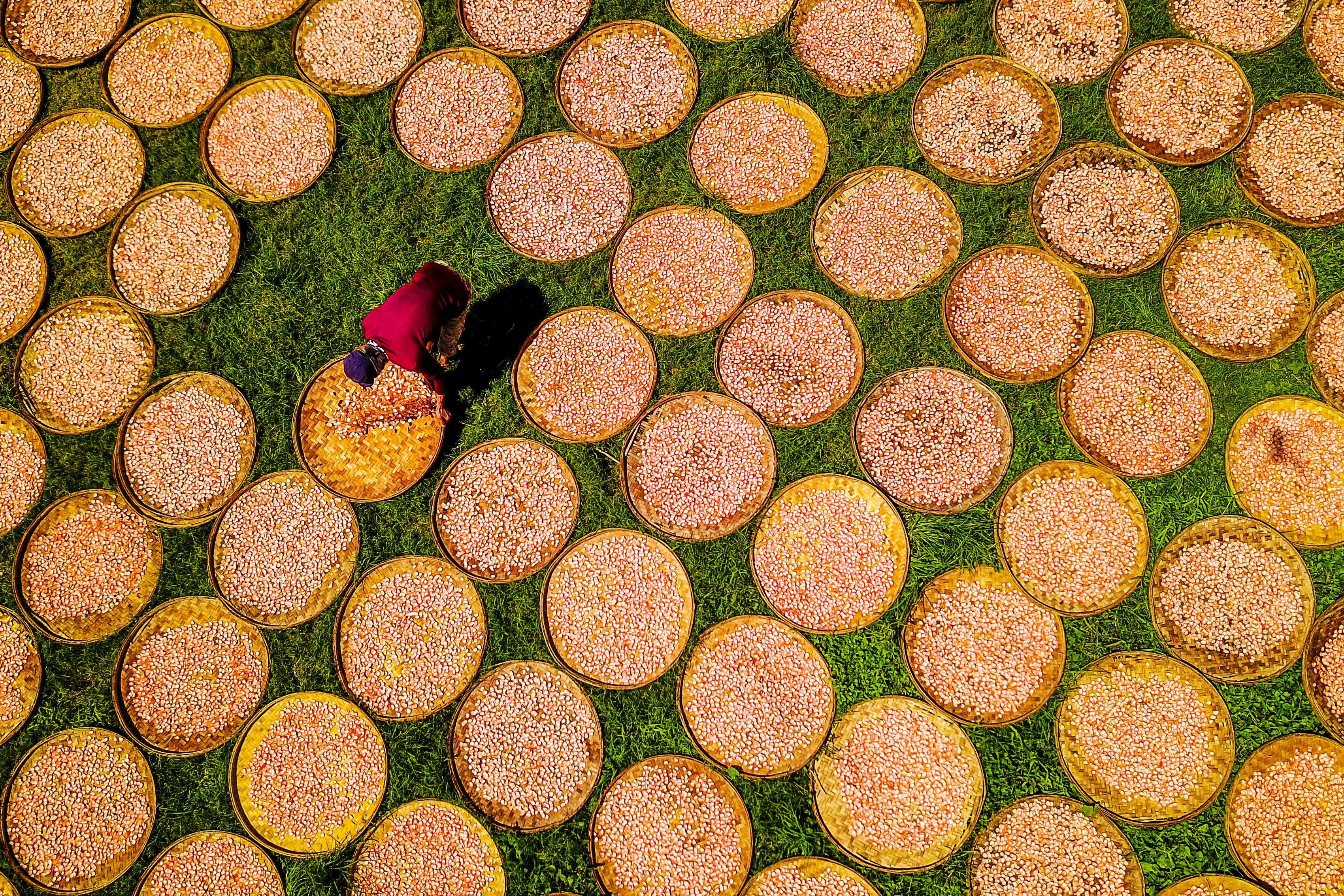 Mating Human Photos, Download The BEST Free Mating Human Stock Photos ...