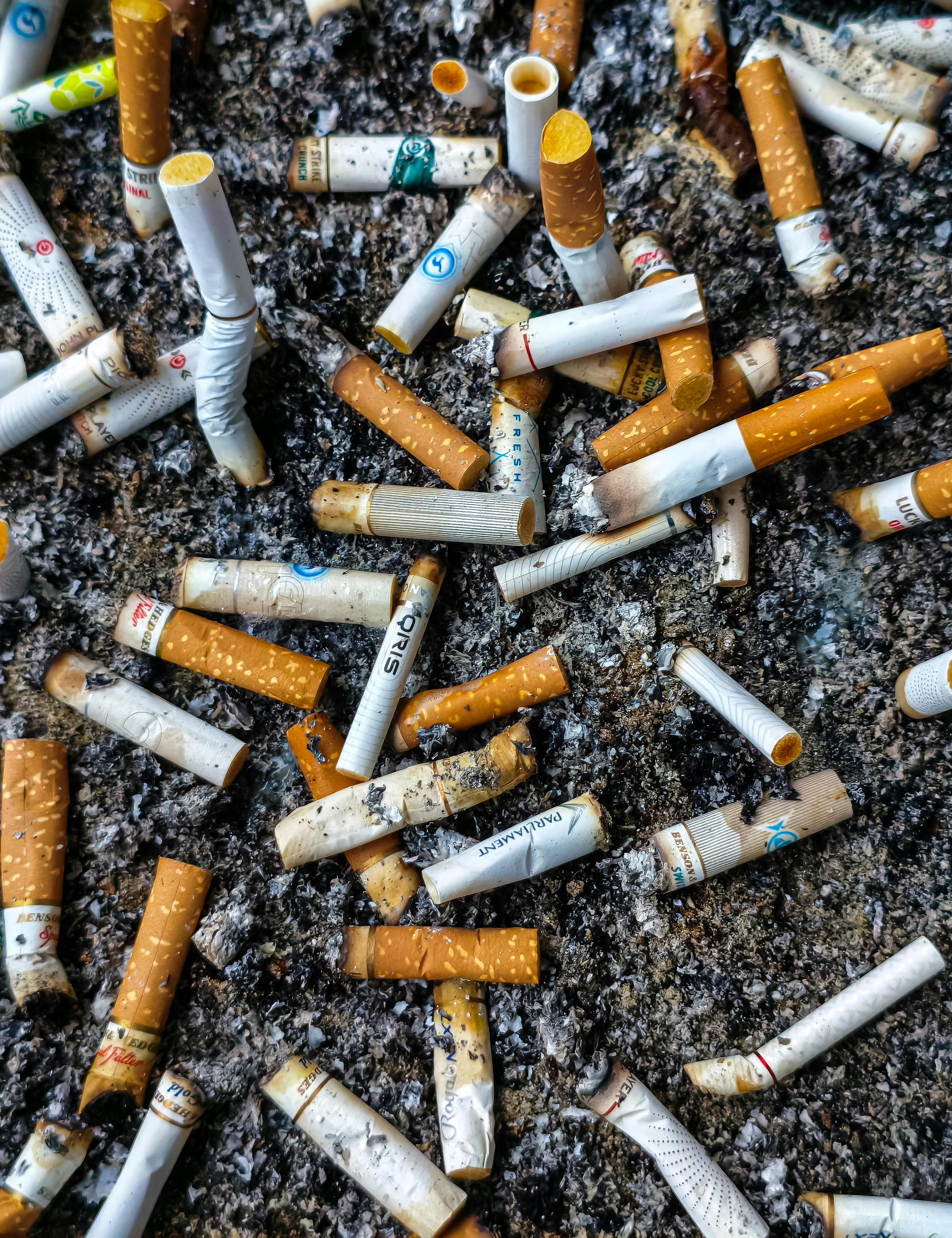 Close Up Beberapa Puntung Rokok Di Asbak · Foto Stok Gratis